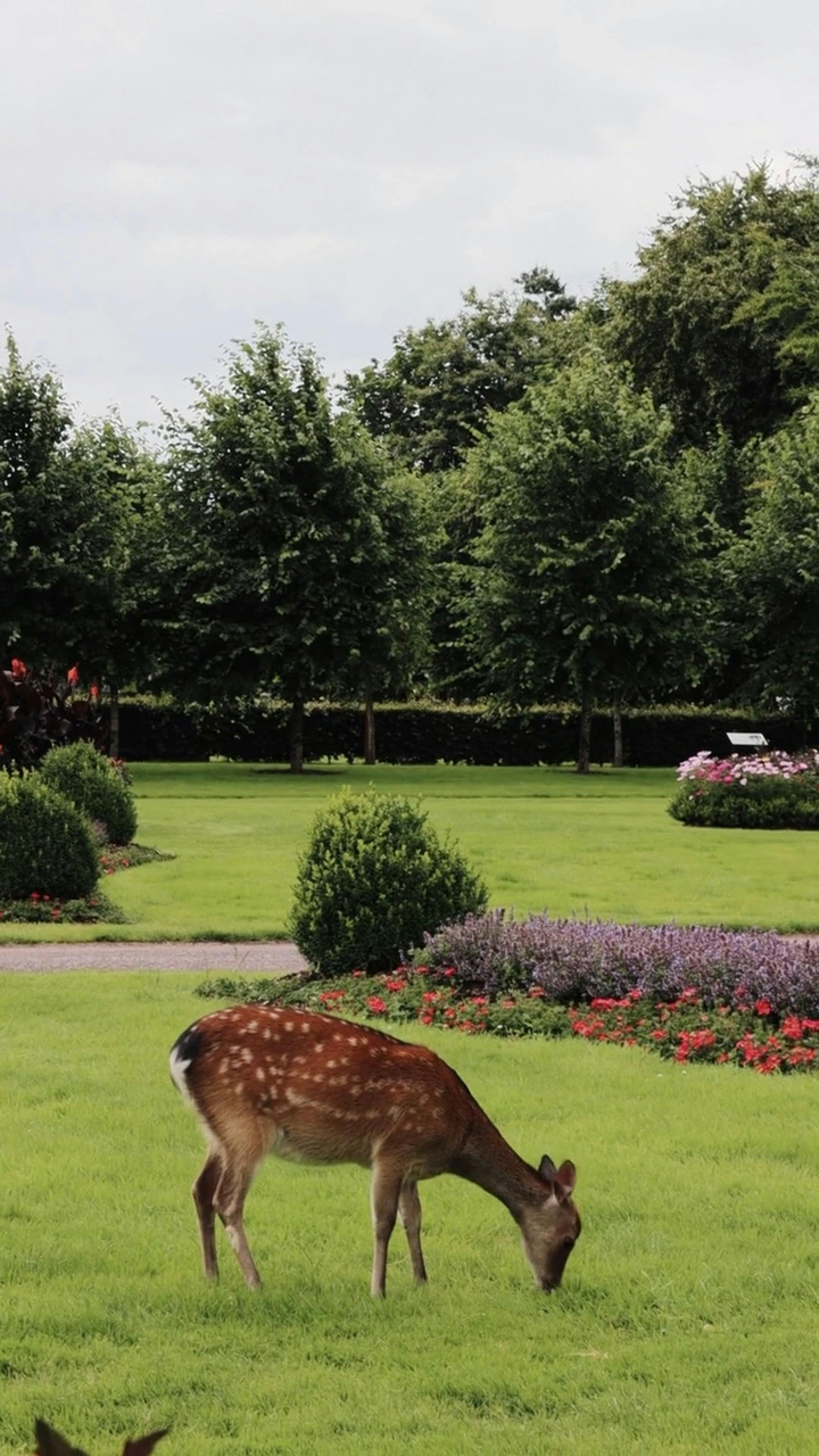 Elizabeth Town Park Videos, Download The BEST Free 4k Stock Video ...