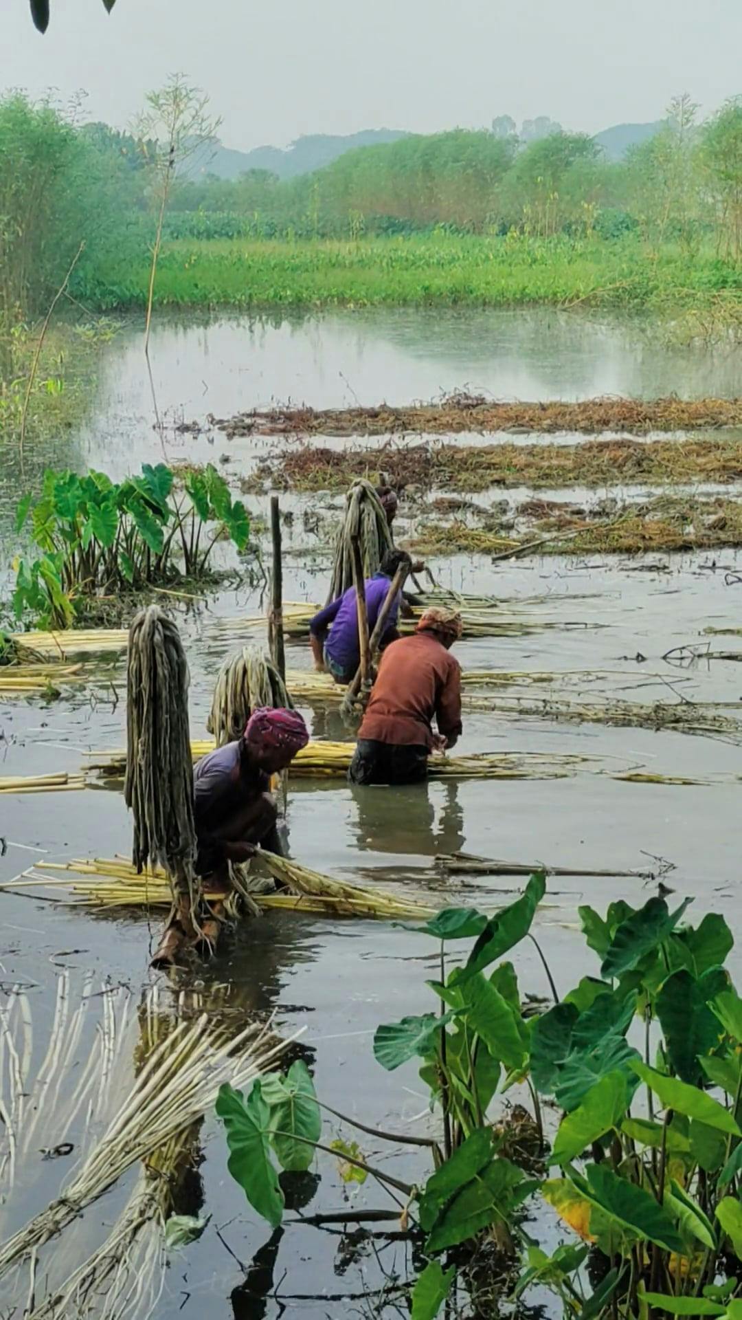 Indigenous Methods Videos, Download The BEST Free 4k Stock Video ...