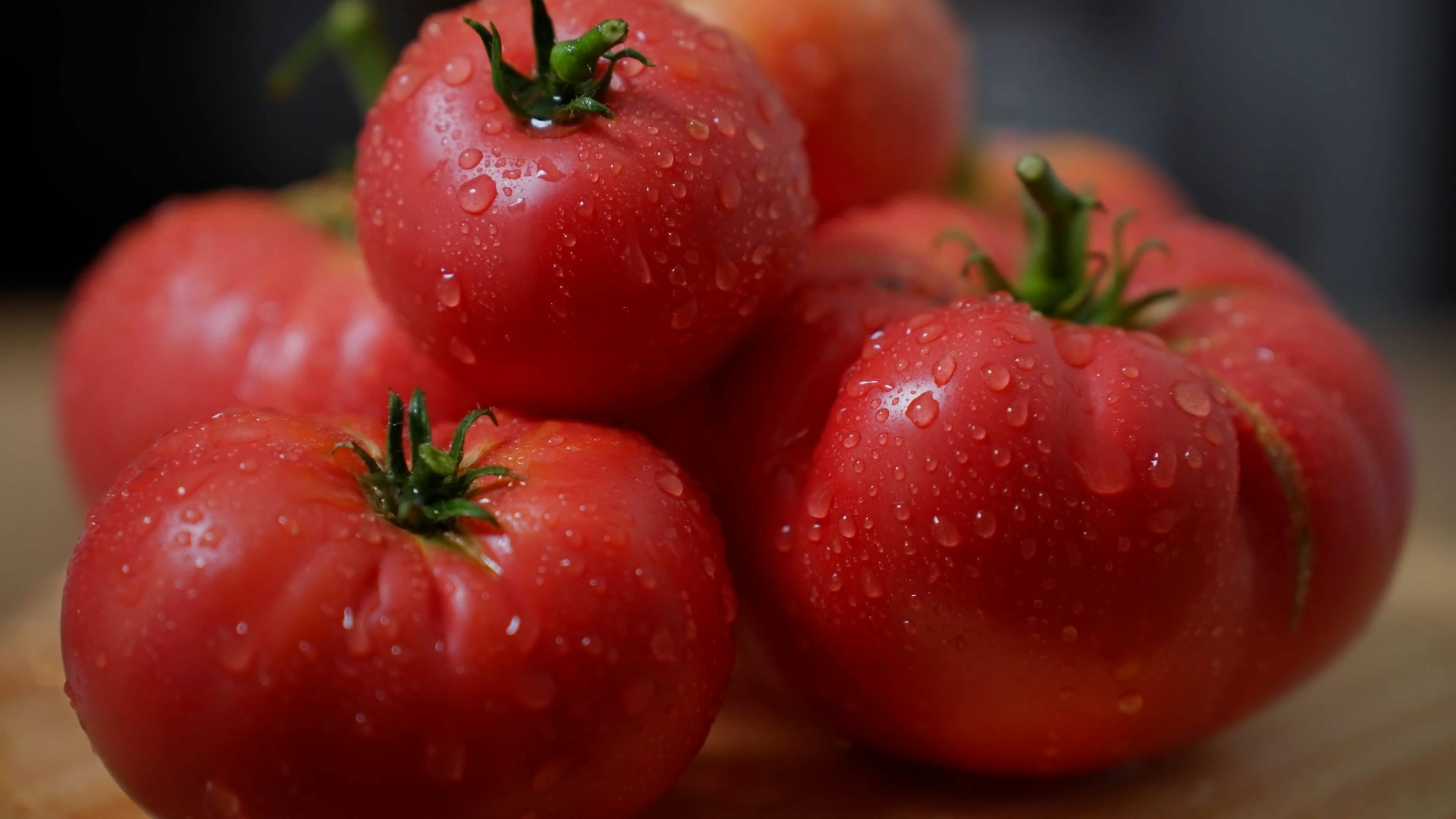 Tomatoes Mist Free Stock Video Footage, Royalty-Free 4K & HD Video Clip