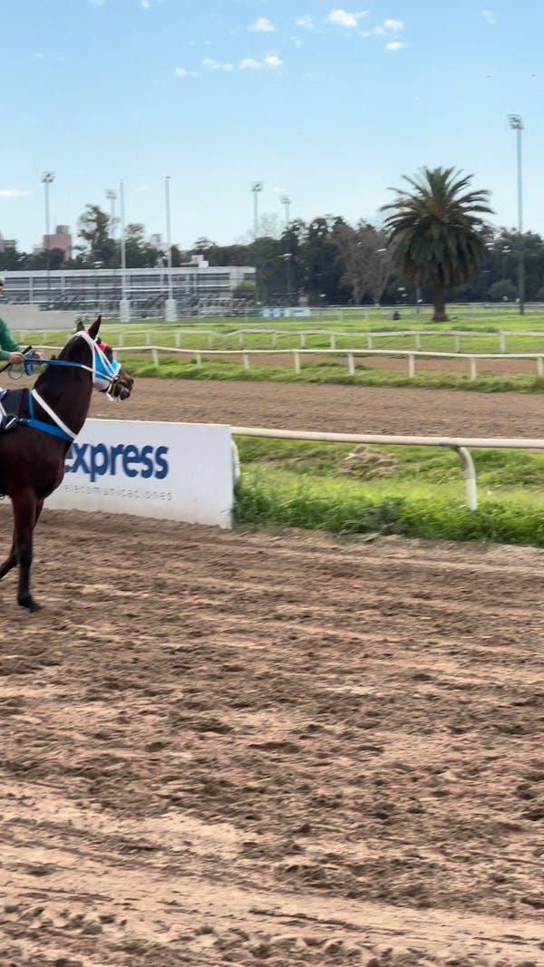 Horse Racing Videos, Download The BEST Free 4k Stock Video Footage ...