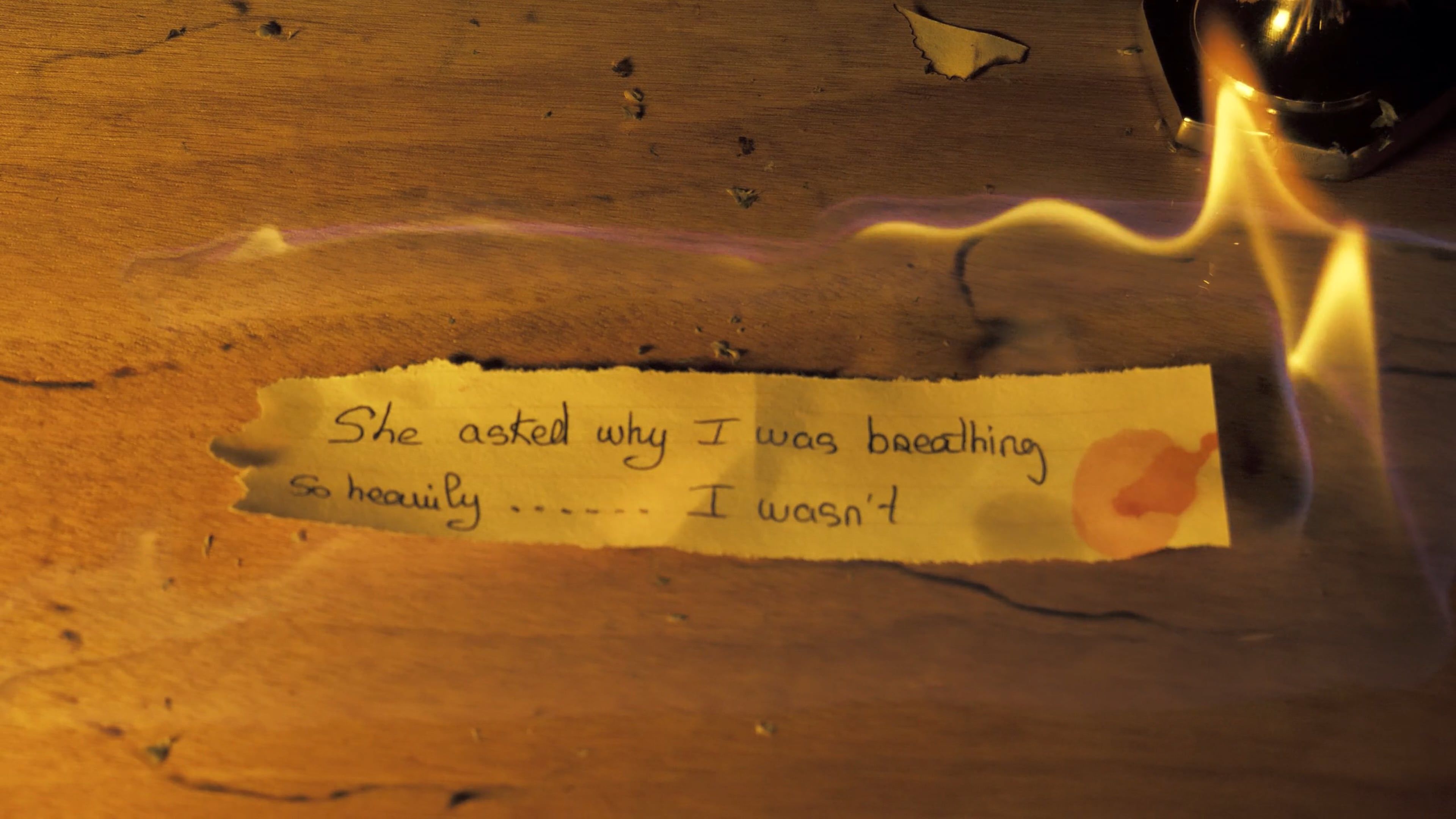 Poetry Wallpaper Videos, Download The BEST Free 4k Stock Video Footage ...