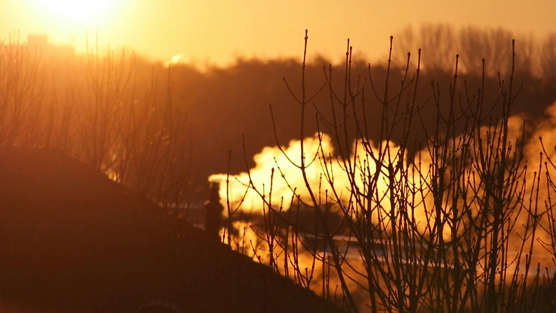 Wildfire Videos, Download The BEST Free 4k Stock Video Footage ...