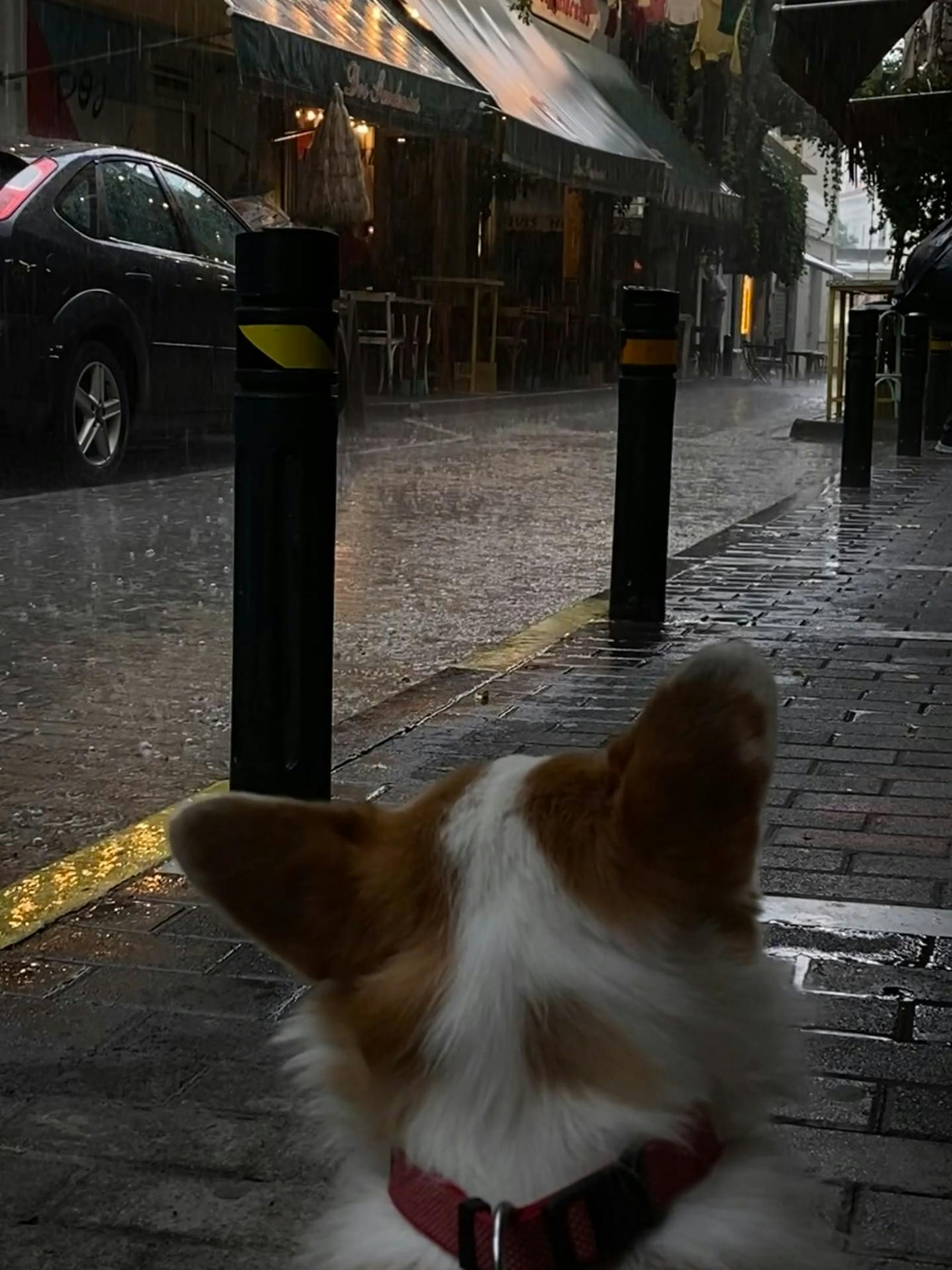 Rain Window Videos, Download The BEST Free 4k Stock Video Footage ...