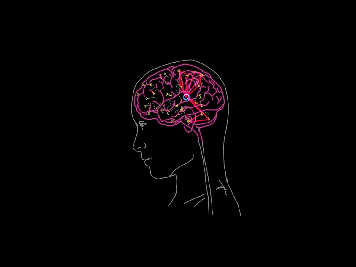 Human Brain Animation Videos, Download The BEST Free 4k Stock Video ...