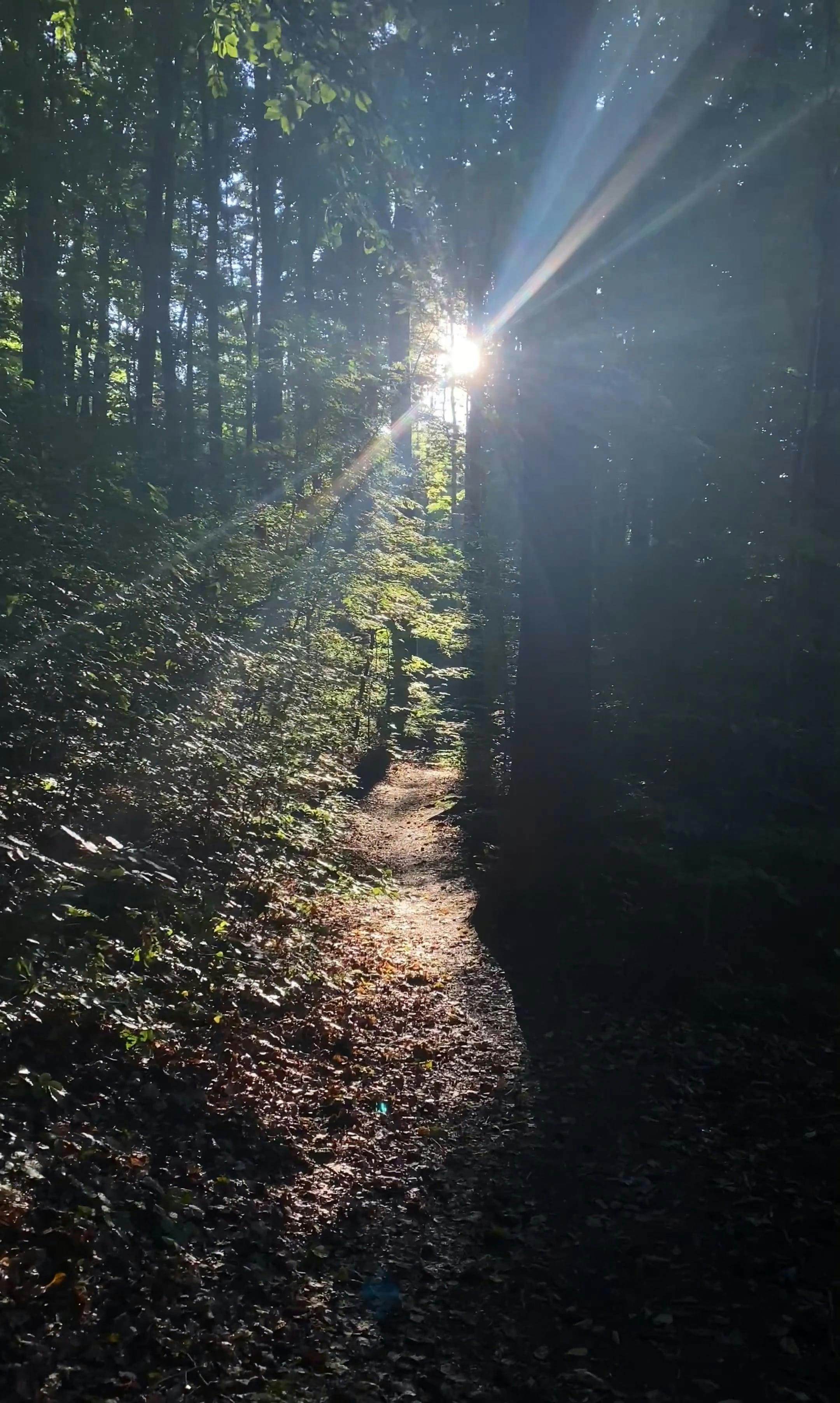 Sunlight Ray Reflection Over The Sea Surface Free Stock Video Footage ...