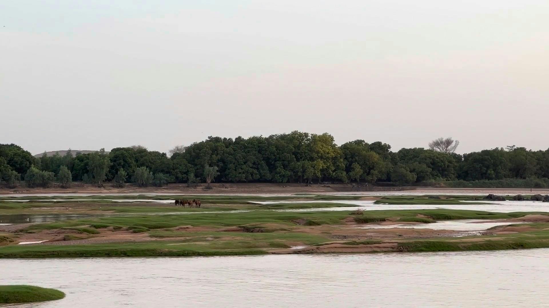 Niger River Videos, Download The BEST Free 4k Stock Video Footage ...
