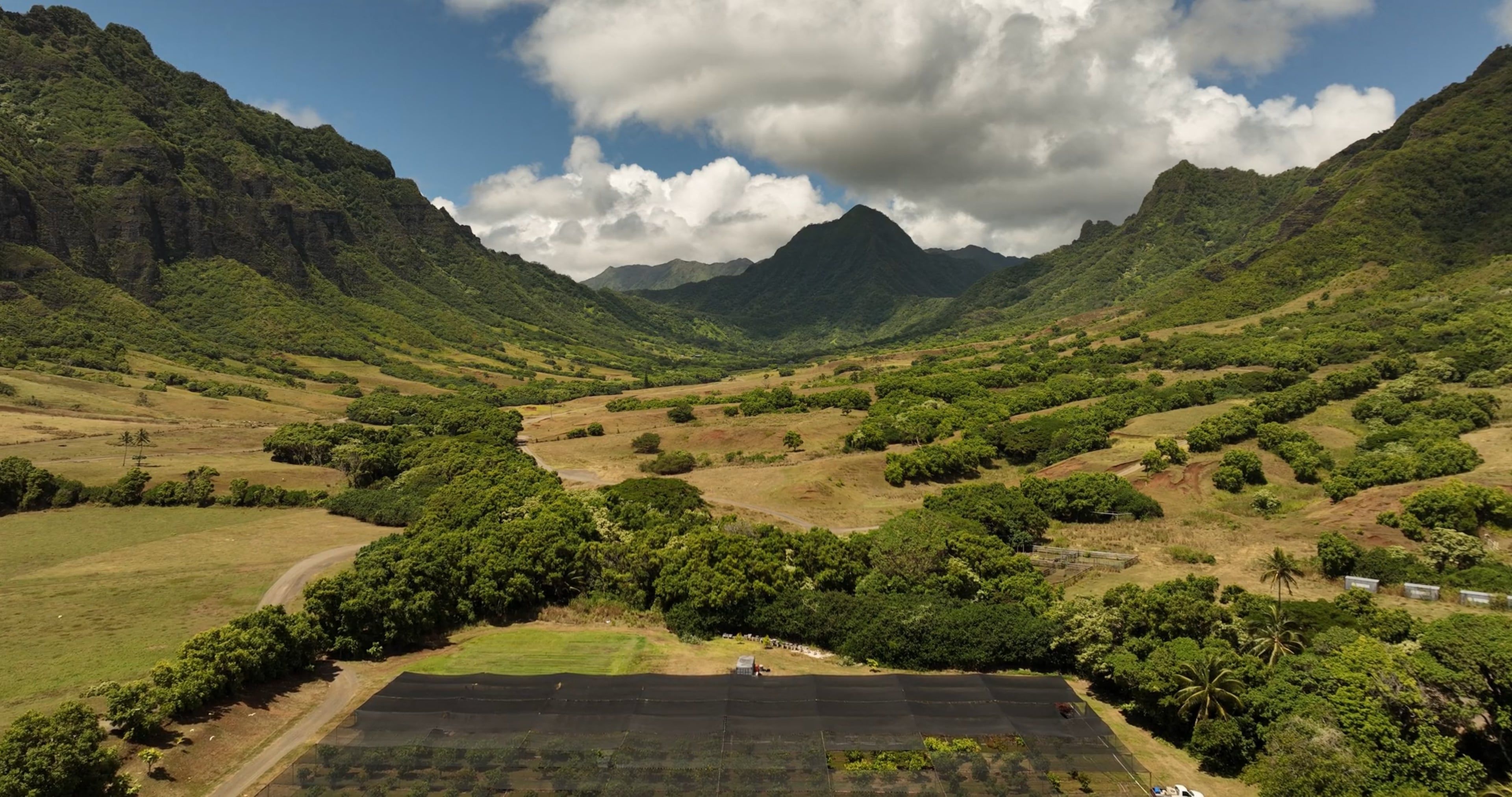 Hawaii Free Stock Video Footage, Royalty-Free 4K & HD Video Clip