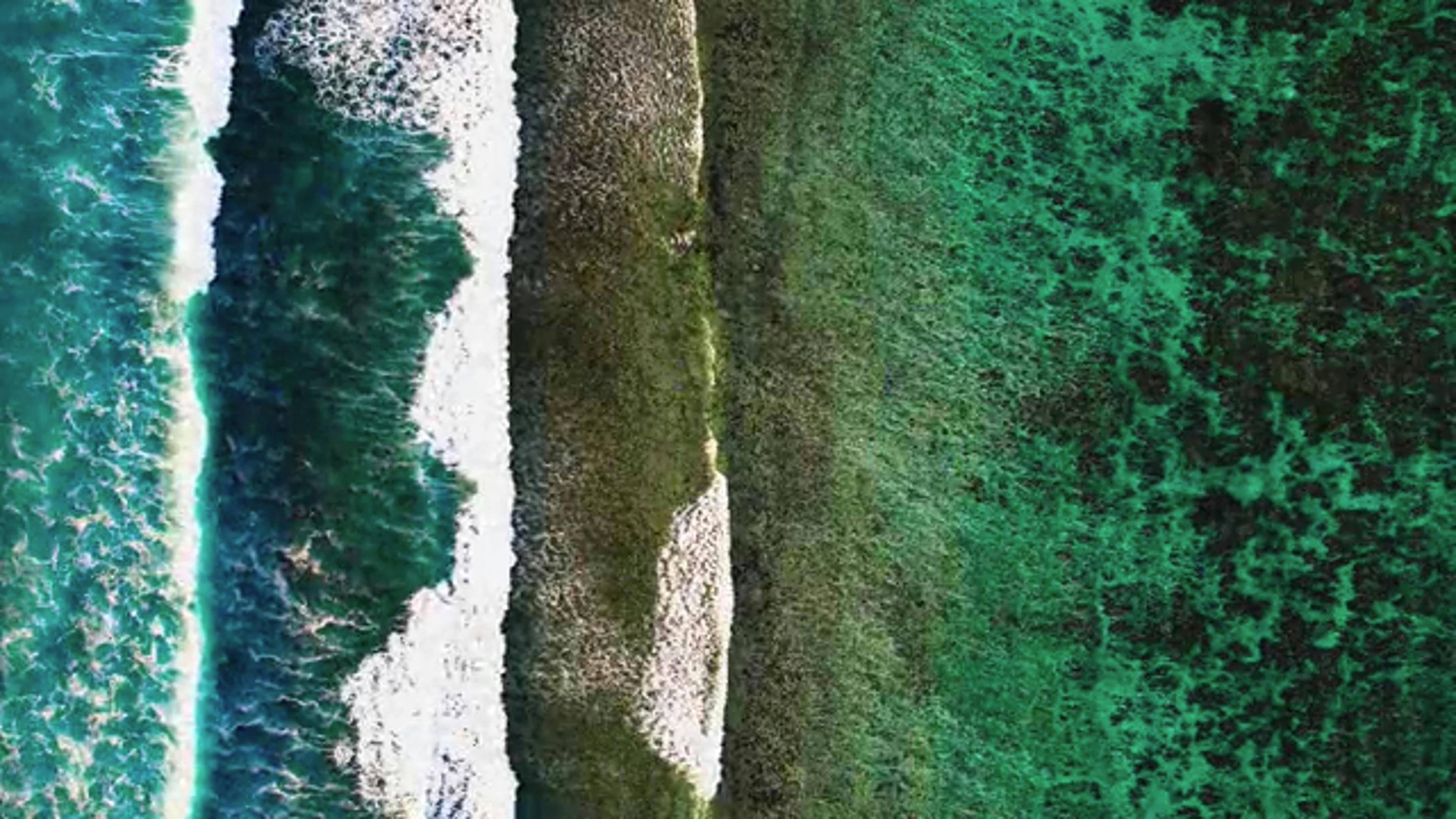 Louis Peter - 사진