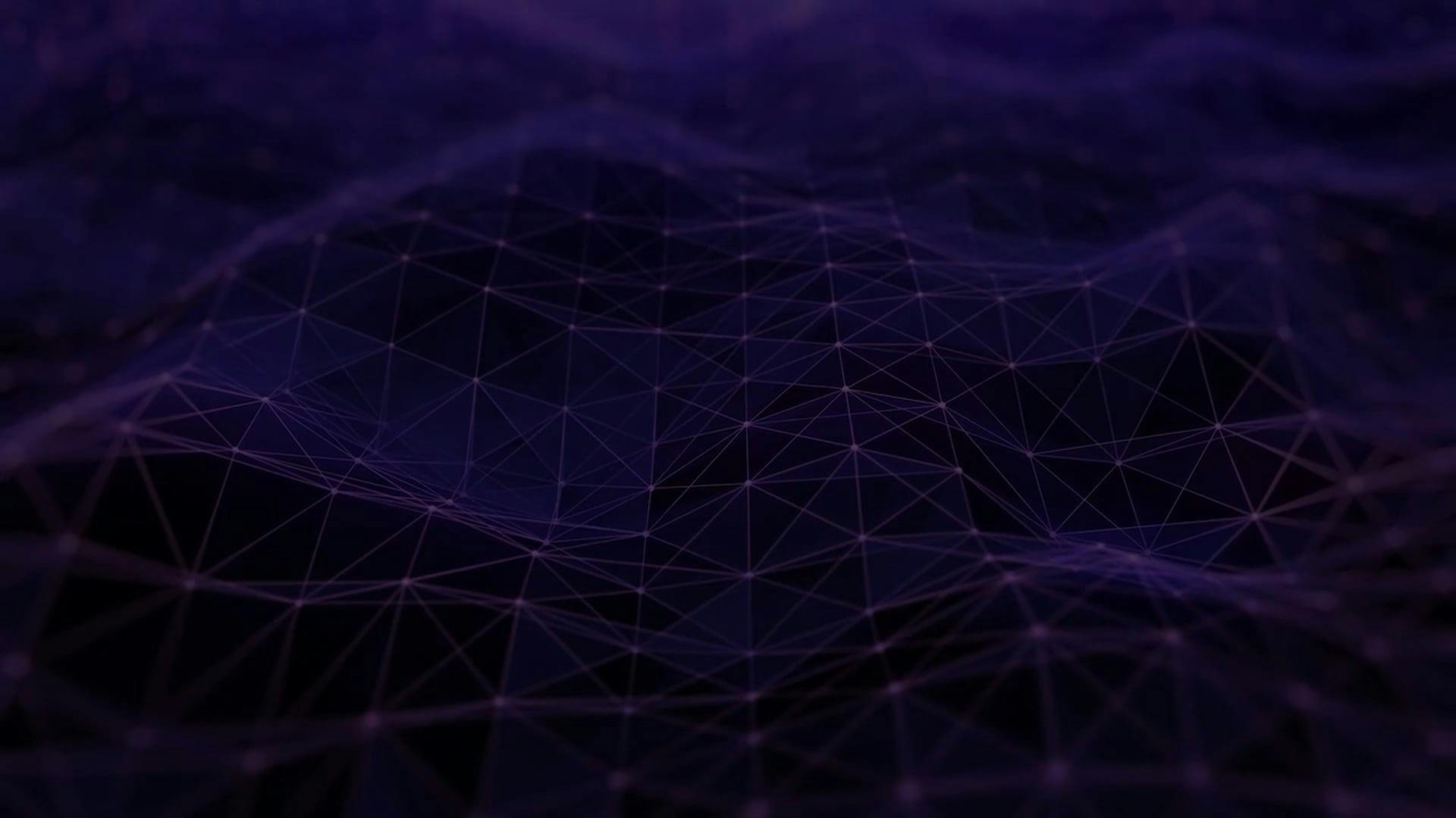 Daniel Field - Photography