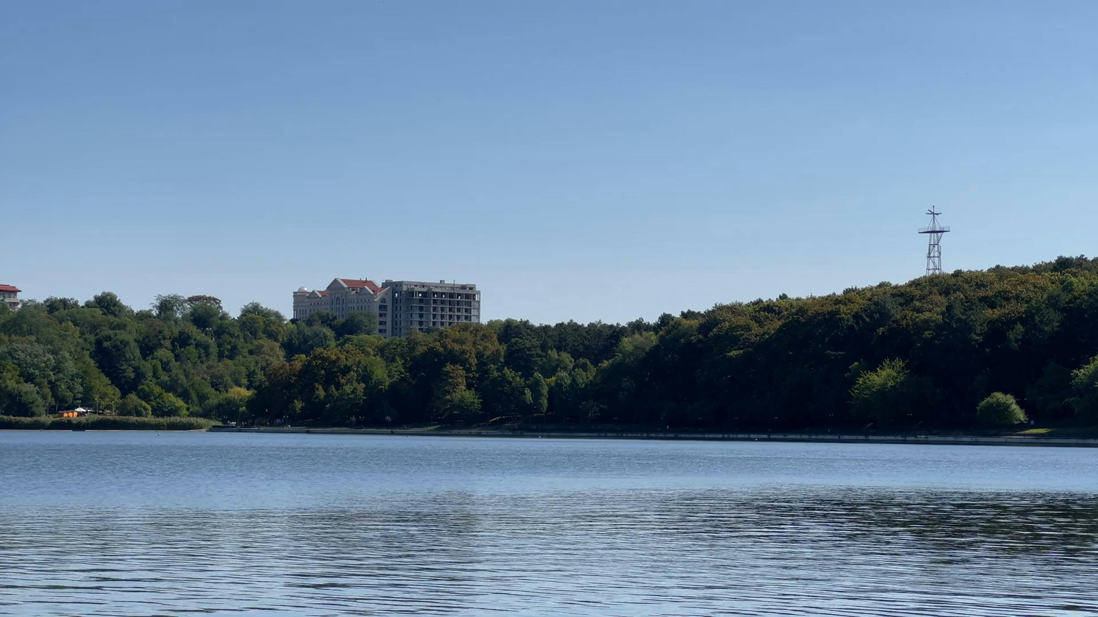 Forest Borderline Videos, Download The BEST Free 4k Stock Video Footage ...