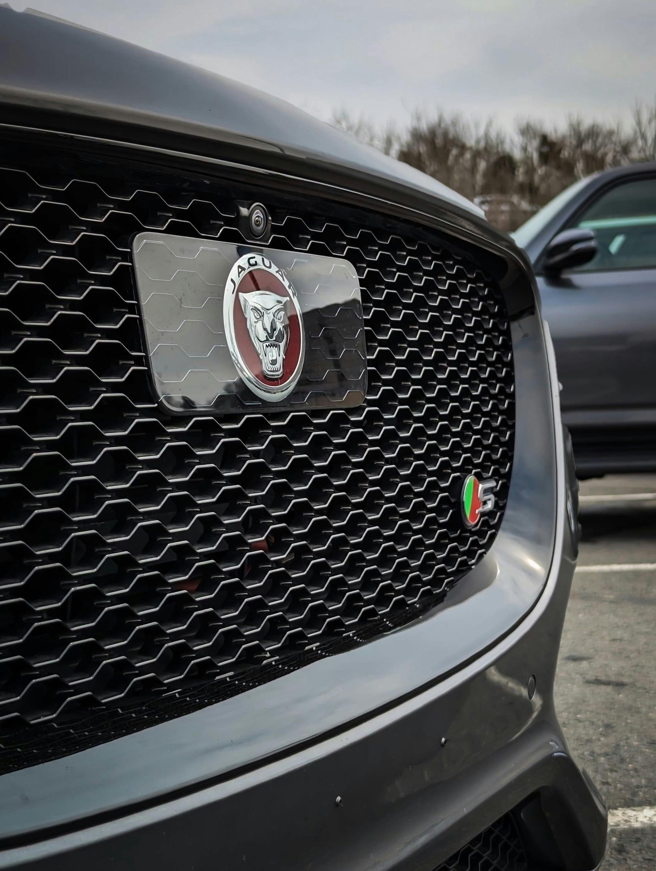 Close-Up of Luxury Car Grille and Emblem Free Stock Video Footage ...