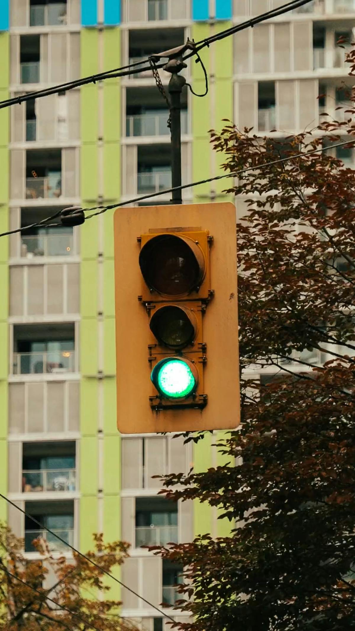 Red Light Videos, Download The BEST Free 4k Stock Video Footage & Red ...