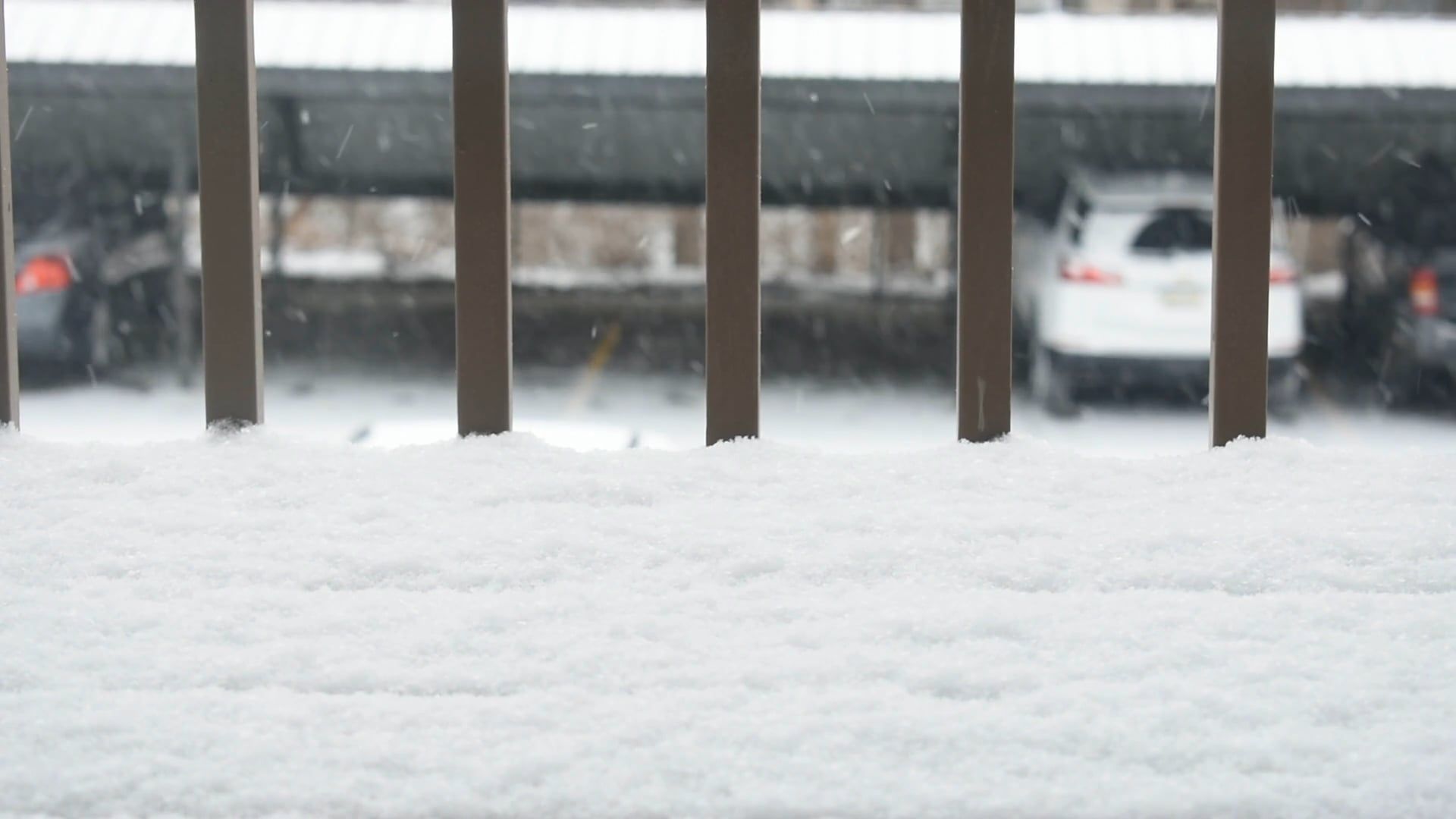 Video Of Snow Falling Free Stock Video Footage, Royalty-Free 4K & HD ...