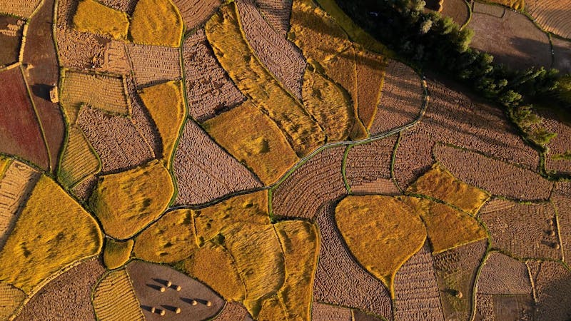 Free Video Download Videos, Download The BEST Free 4k Stock Video ...