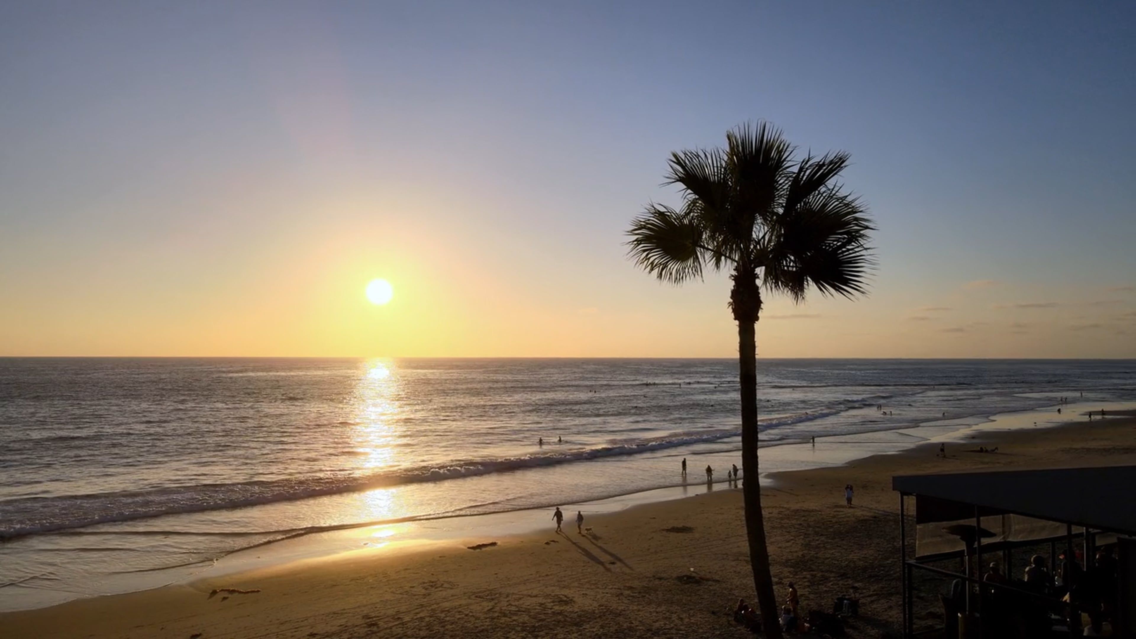 Palm Tree Silhouette at Sunset Free Stock Video Footage, Royalty-Free ...