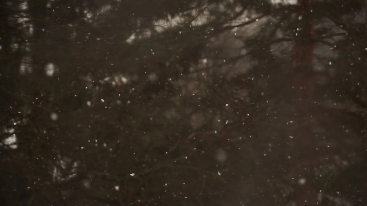 Slow Motion Videos, Download The BEST Free 4k Stock Video Footage ...