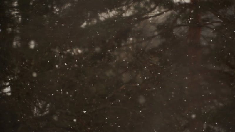 Snow Falling Videos, Download The BEST Free 4k Stock Video Footage ...