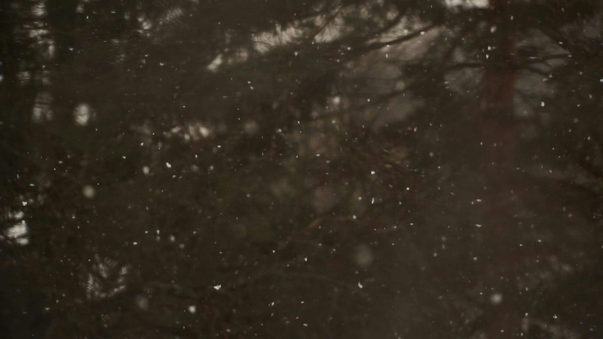 Snow Falling Video · Free Stock Video