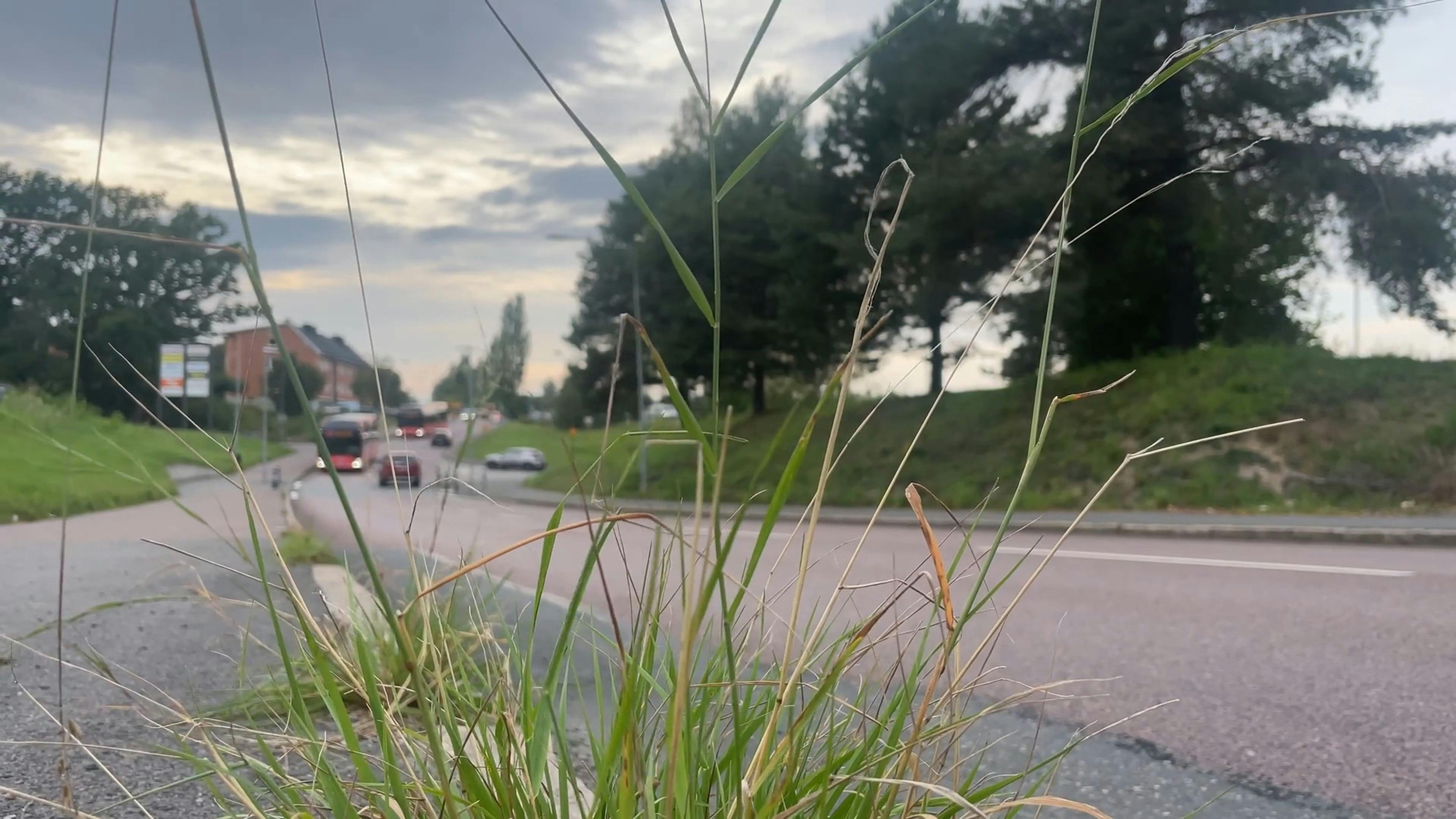 Matrix Cars Videos, Download The BEST Free 4k Stock Video Footage ...