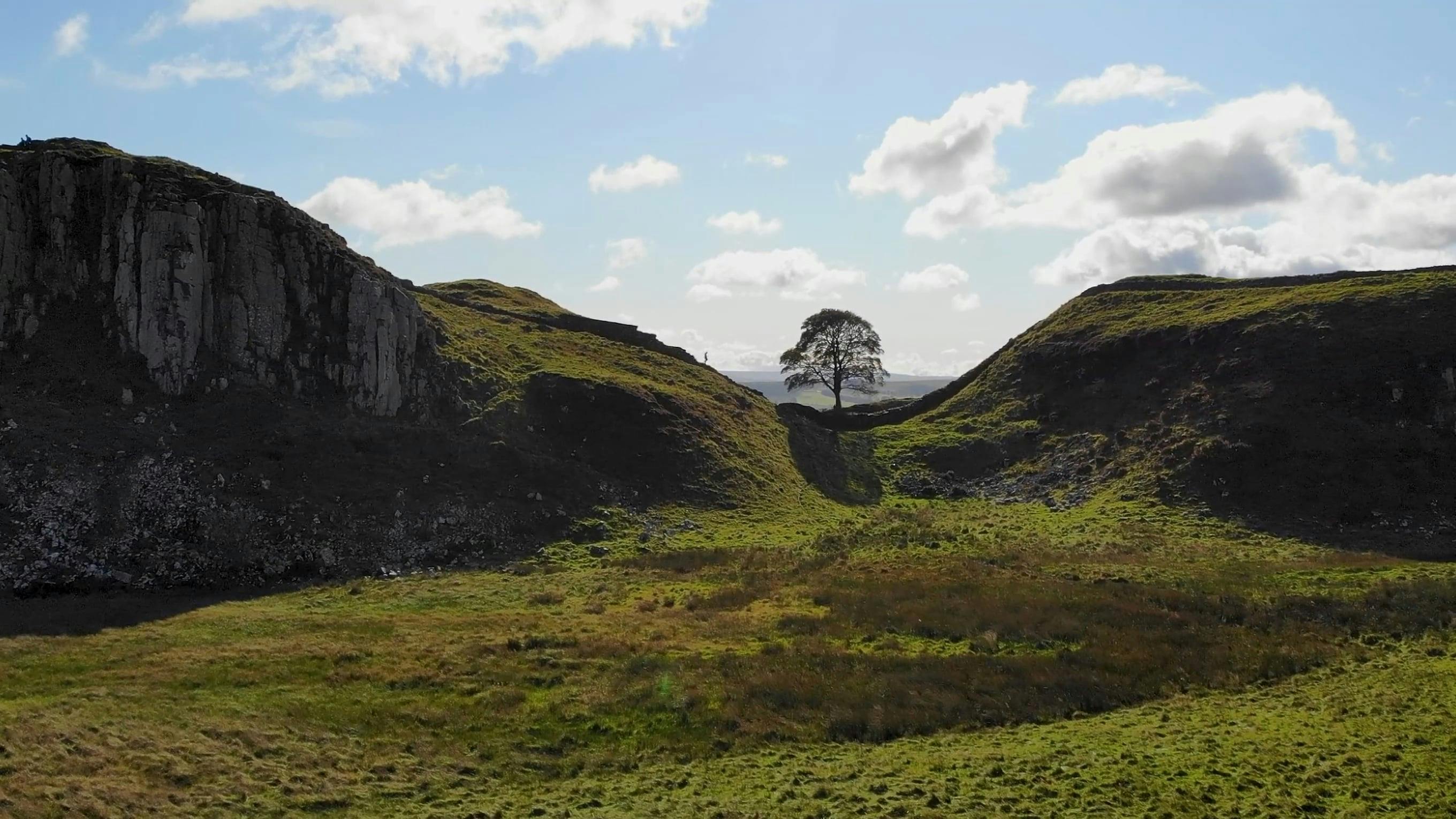 1.000+ melhores vídeos de Hood ใบไม้ · Download 100% grátis · Vídeos ...