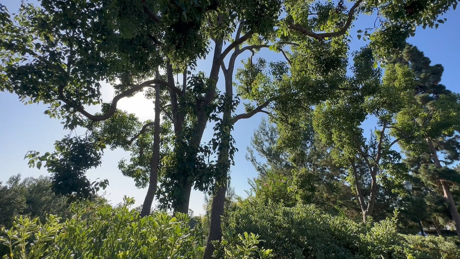 Meditation And Relaxation Videos, Download The BEST Free 4k Stock Video ...