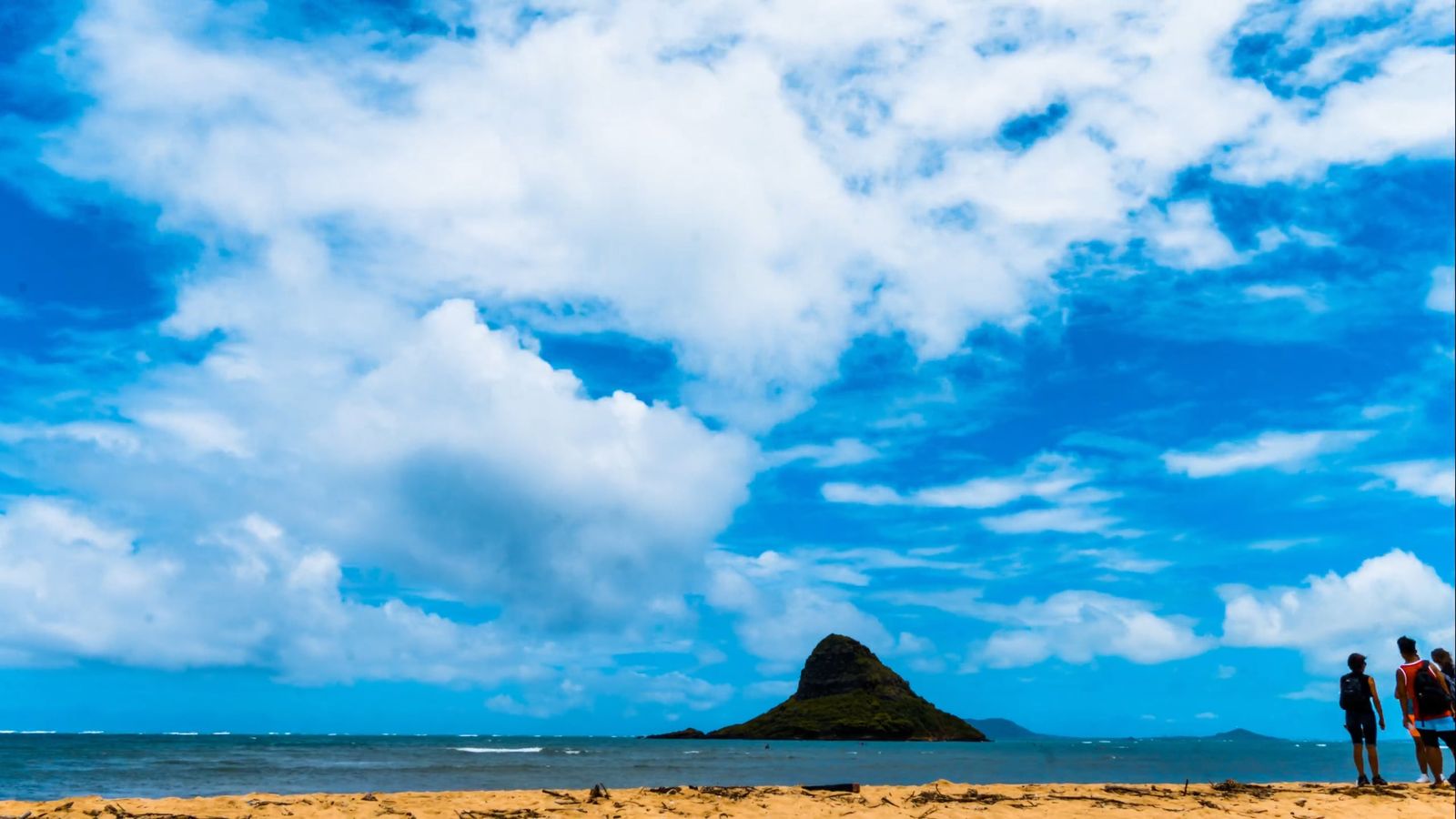 Beach Loop Videos, Download The BEST Free 4k Stock Video Footage ...
