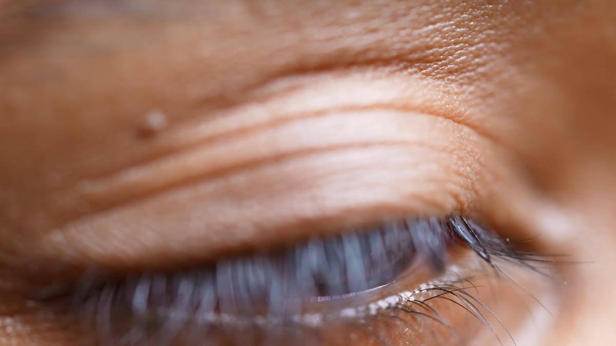 Eye Close Up Videos, Download The BEST Free 4k Stock Video Footage ...