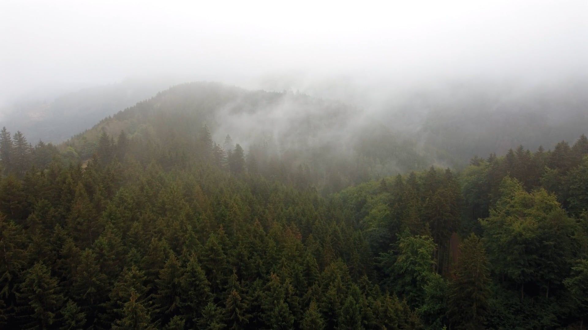 Haven Mist Videos, Download The BEST Free 4k Stock Video Footage ...