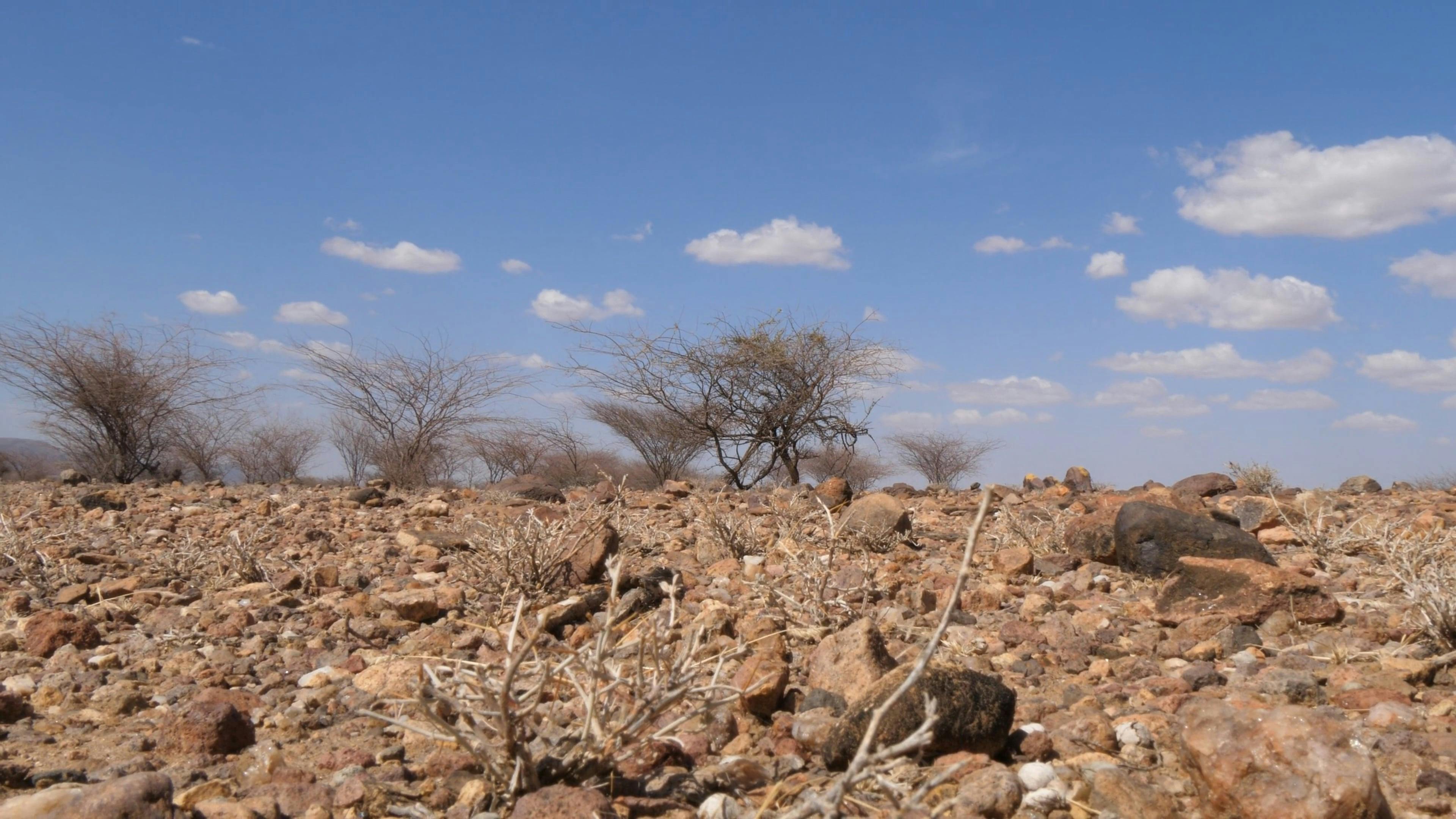 Dry African Landscape Free Stock Video Footage, Royalty-Free 4K & HD ...