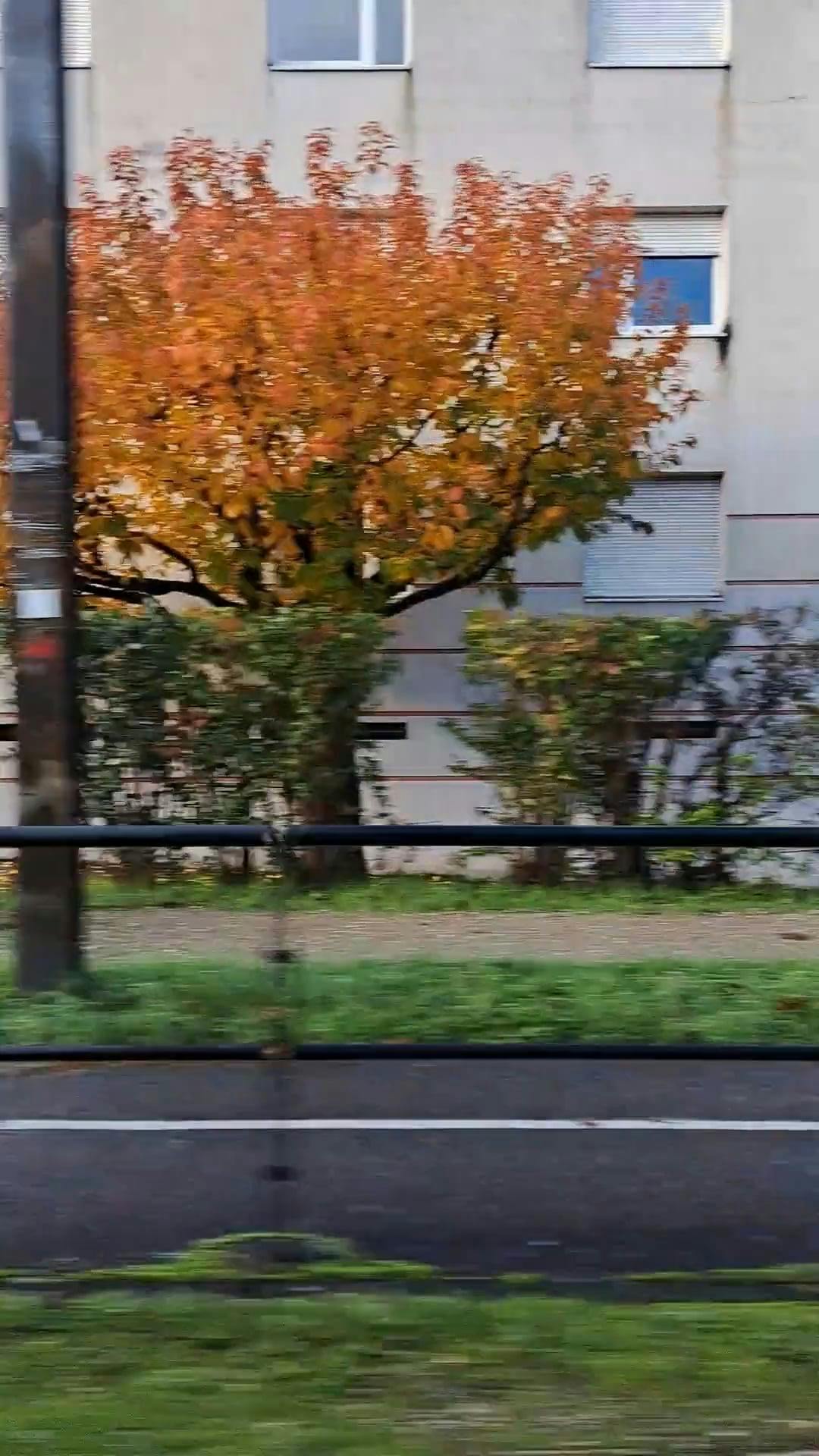 Cool Desktop Background Videos, Download The BEST Free 4k Stock Video ...