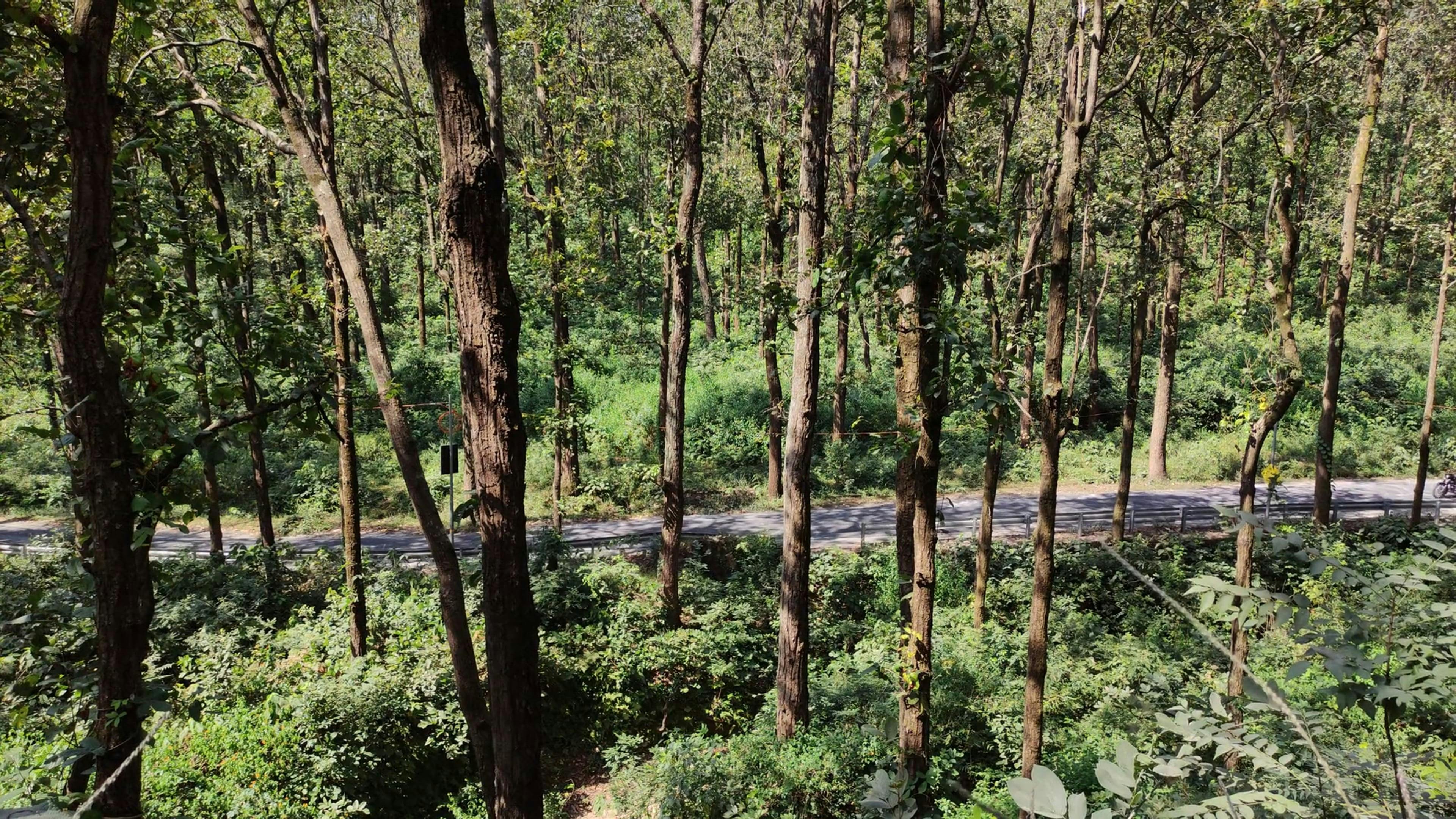 8k India Wallpaper Videos, Download The BEST Free 4k Stock Video ...