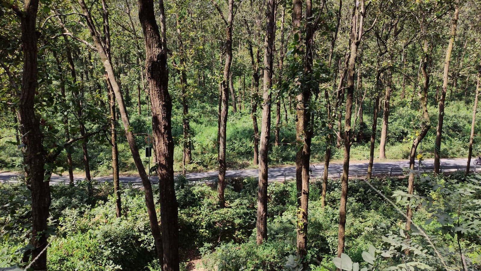 8k Live Wallpapers Videos, Download The BEST Free 4k Stock Video ...