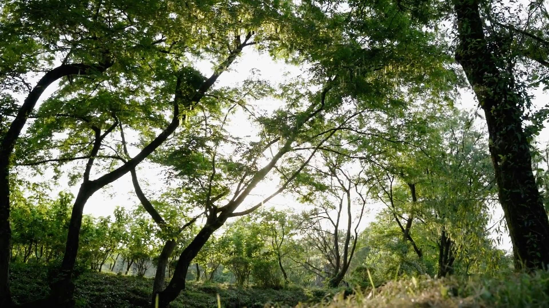 Ephemeral Rivers Videos, Download The BEST Free 4k Stock Video Footage ...