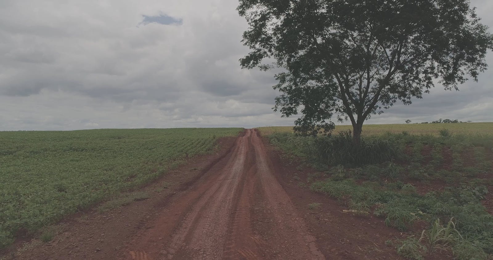 5,700+ Best Free 4k 4K Stock Video Footage & Royalty-Free HD Video Clips