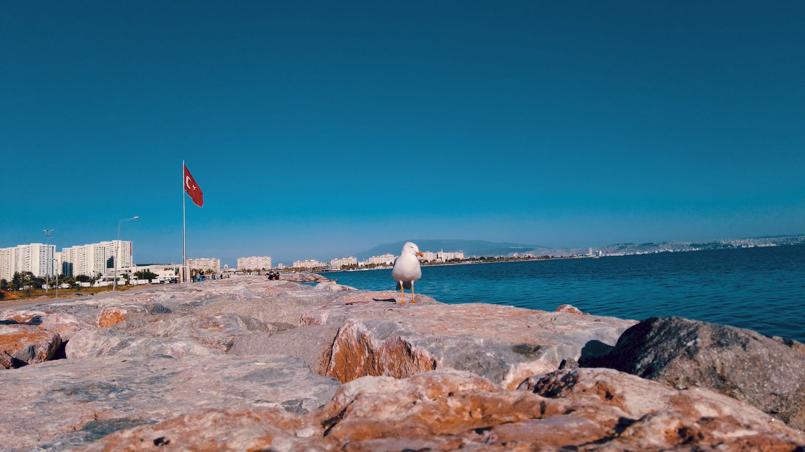 Flag Of Turkiye Videos, Download The BEST Free 4k Stock Video Footage ...