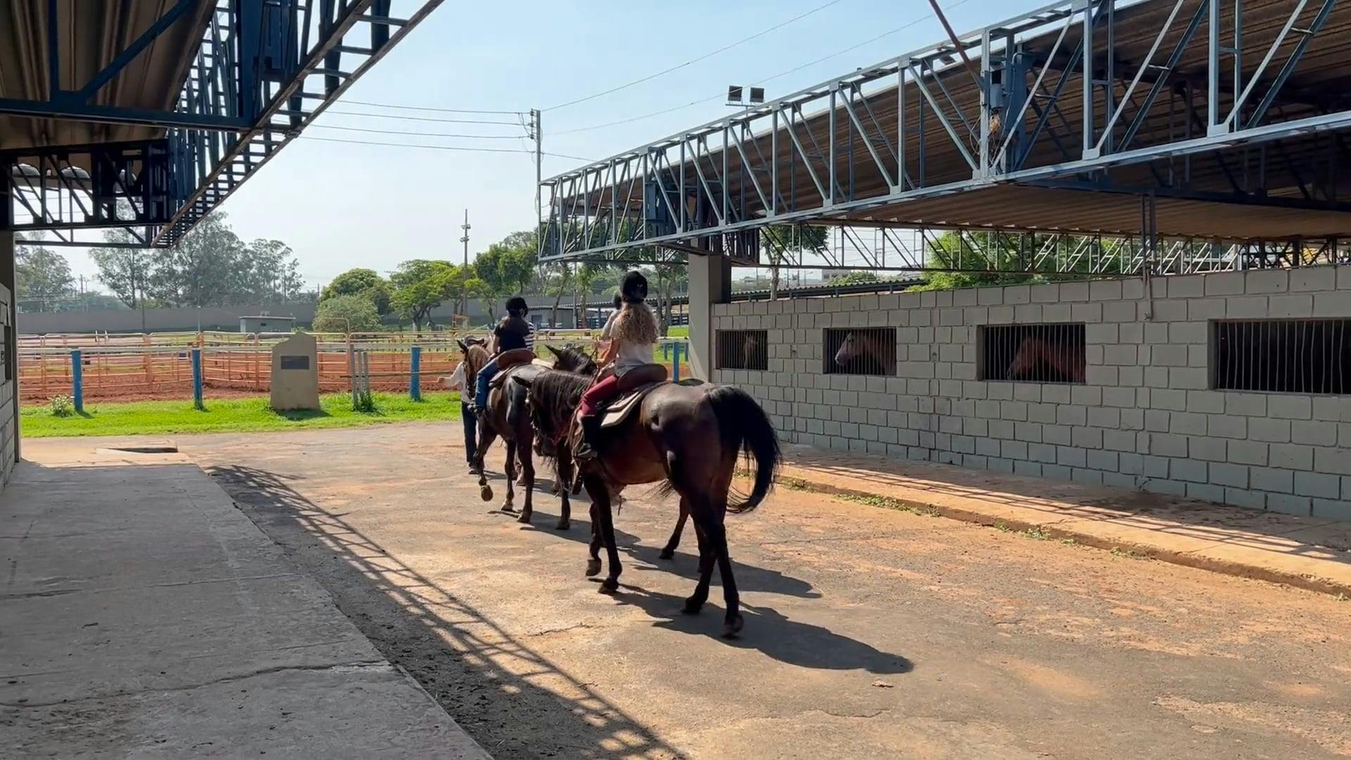 Riding Stables Videos, Download The BEST Free 4k Stock Video Footage ...