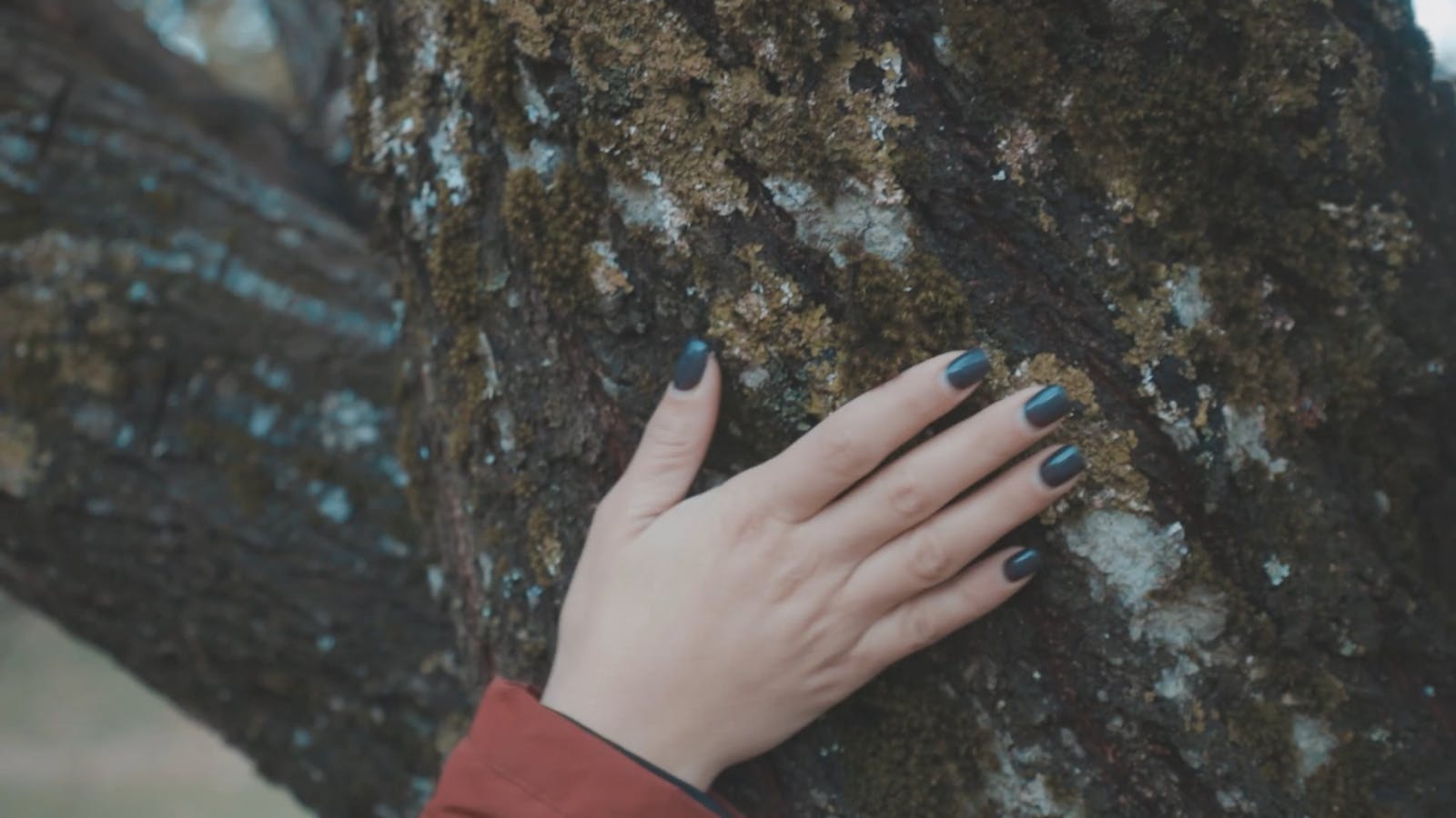 Elon Musk Videos, Download The BEST Free 4k Stock Video Footage & Elon ...