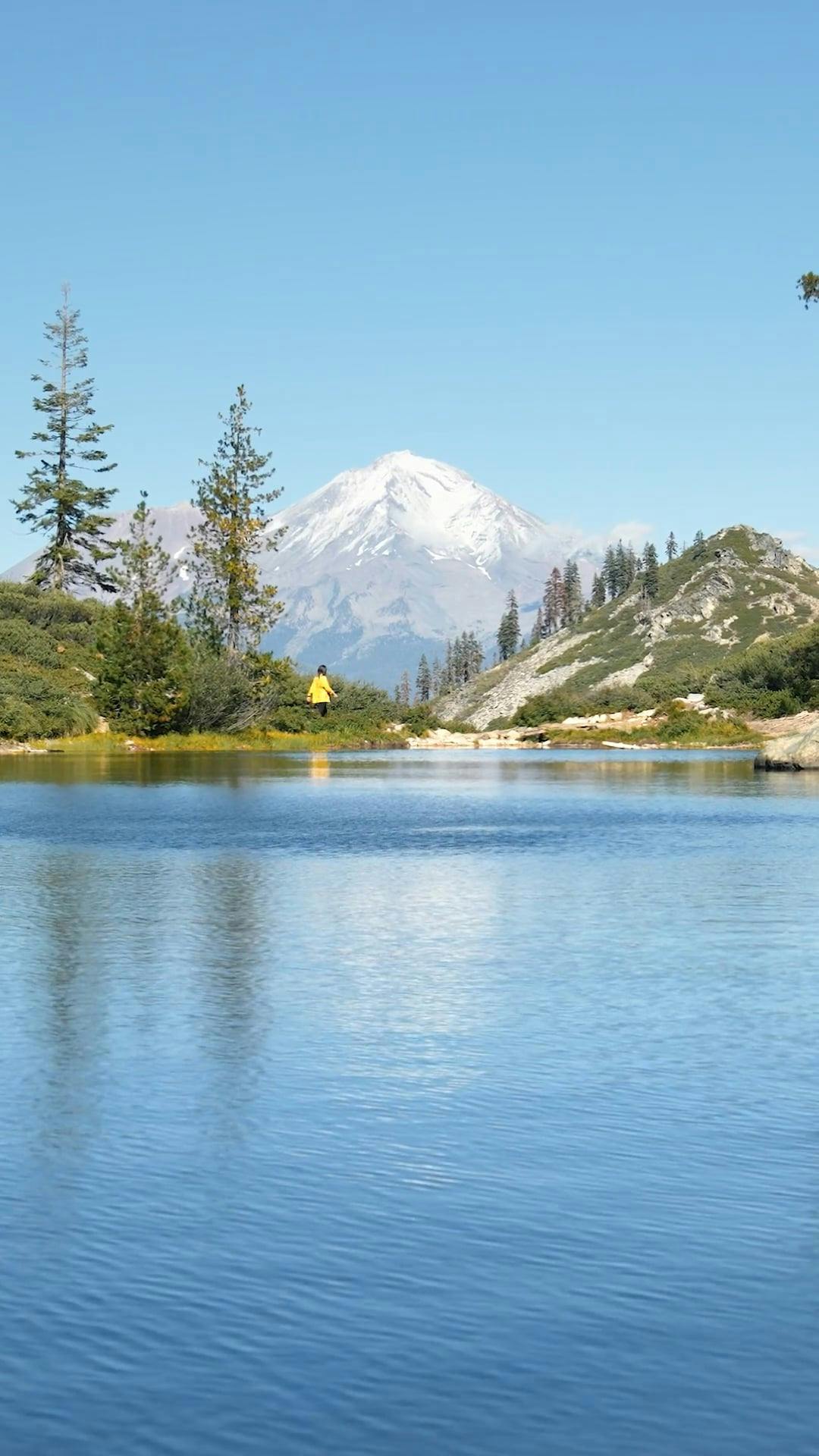 Bright Color Videos, Download The BEST Free 4k Stock Video Footage ...