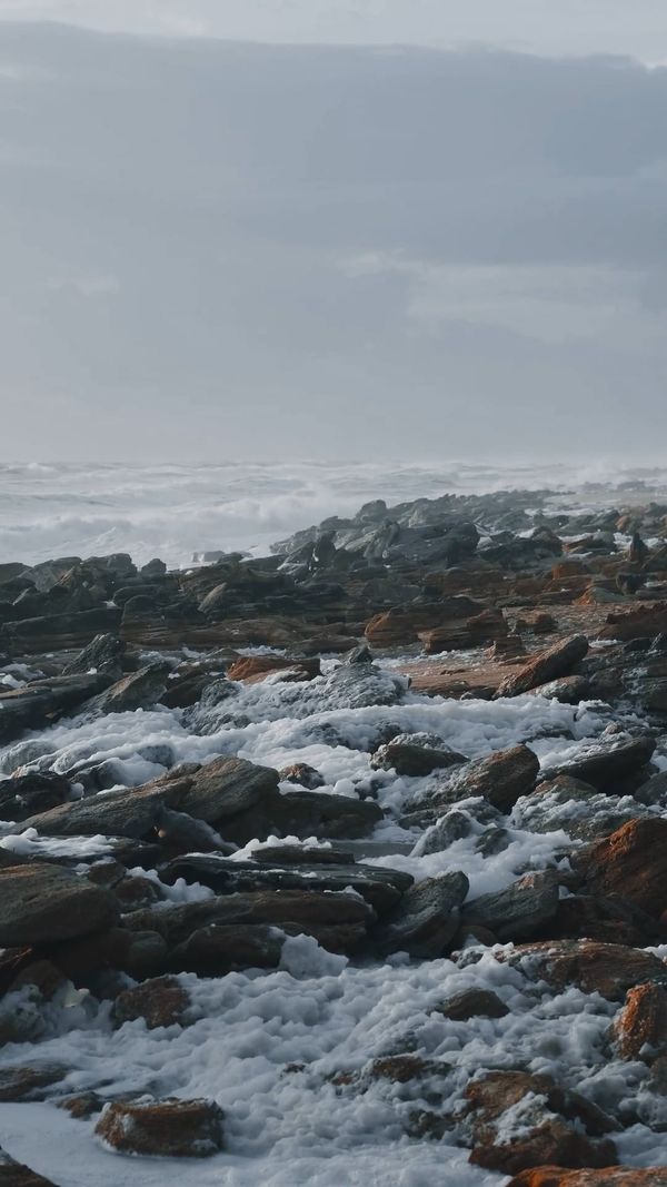 Live Lock Screen Wallpaper Videos, Download The BEST Free 4k Stock ...