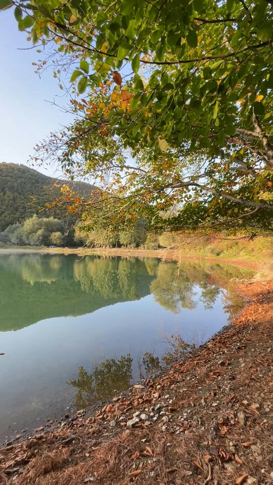 Zurich Gold Pool Videos, Download The BEST Free 4k Stock Video Footage ...