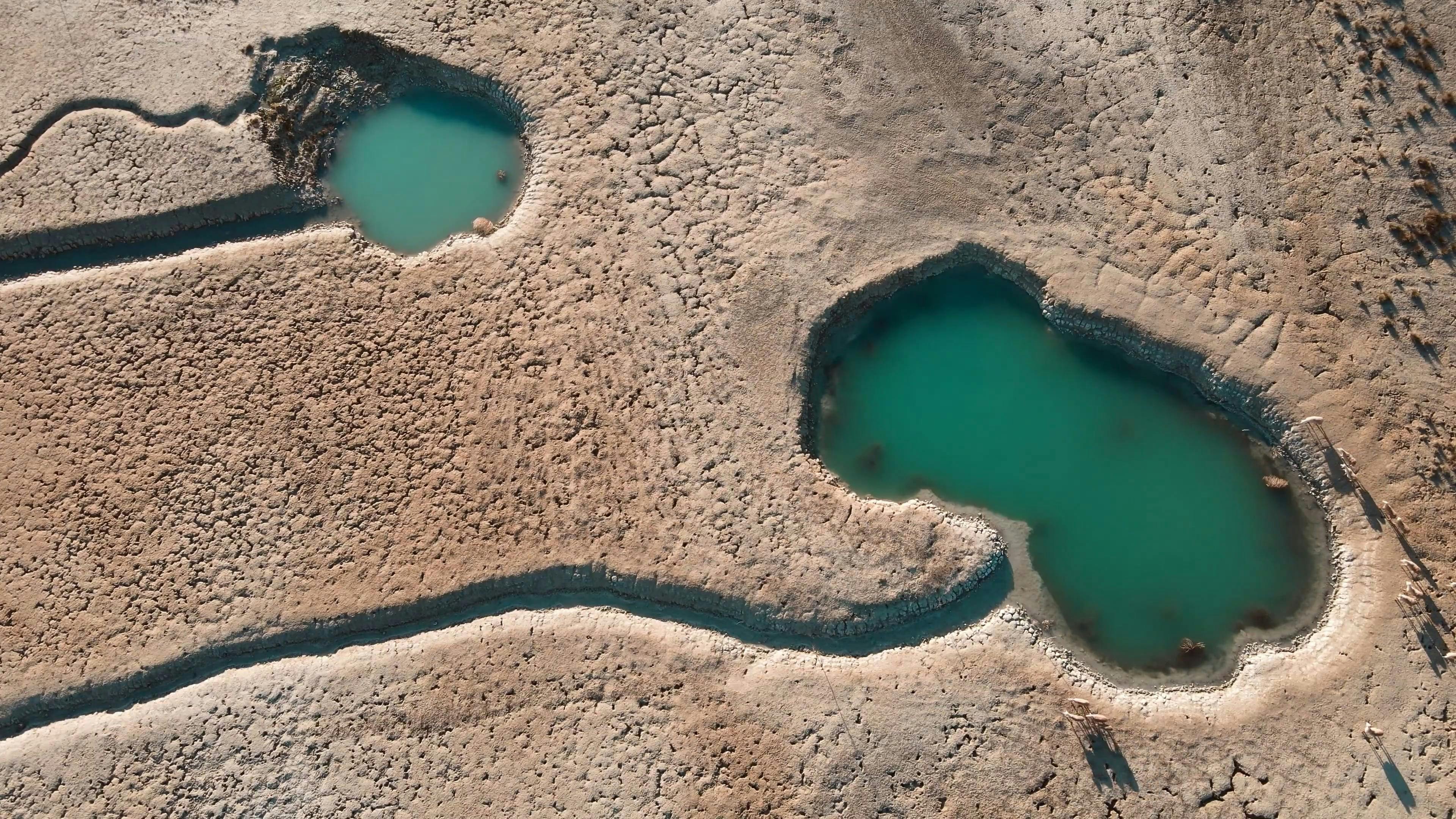 Source Videos, Download The BEST Free 4k Stock Video Footage & Source ...