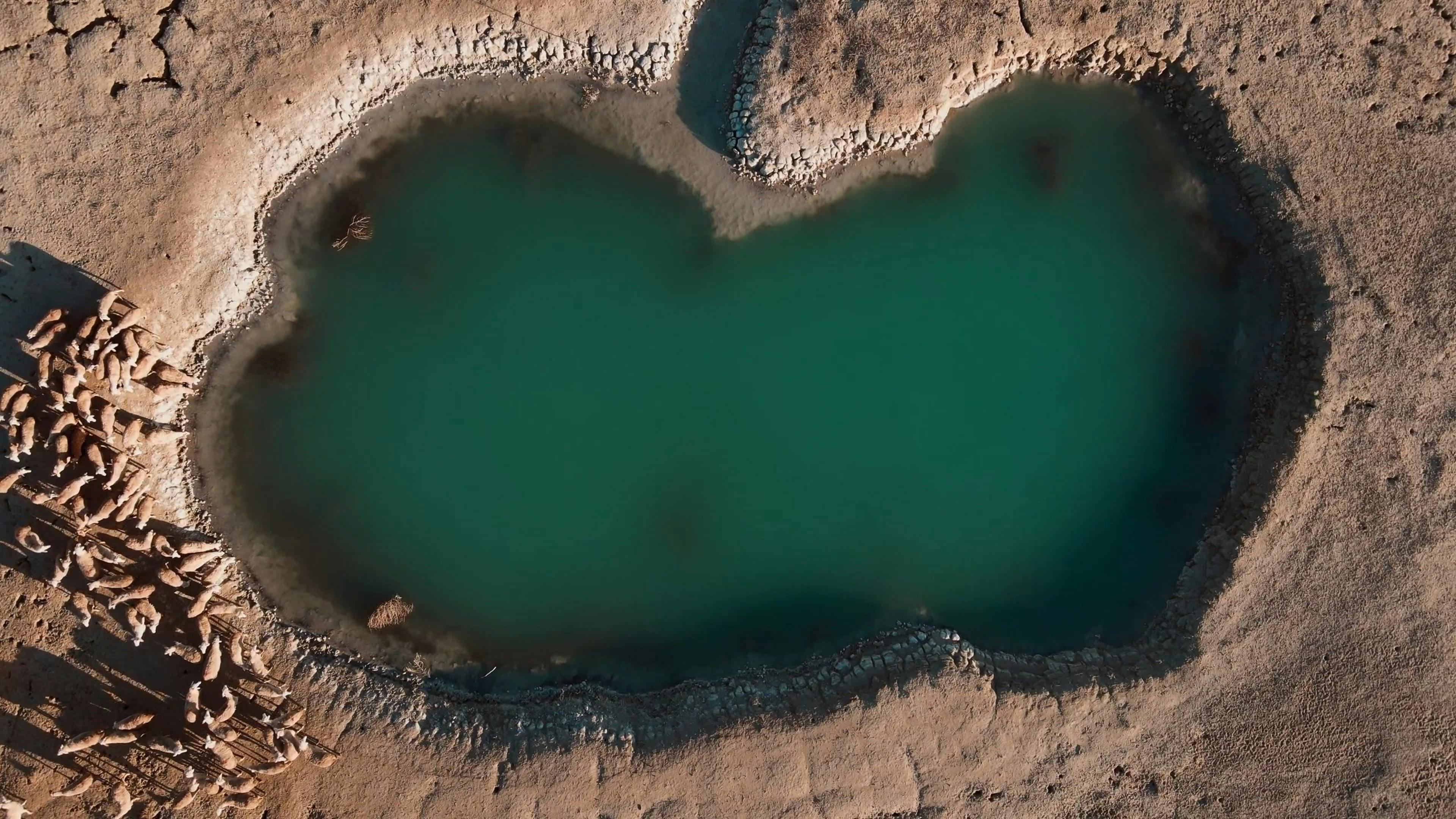 Dry Water Bodies Videos, Download The BEST Free 4k Stock Video Footage ...