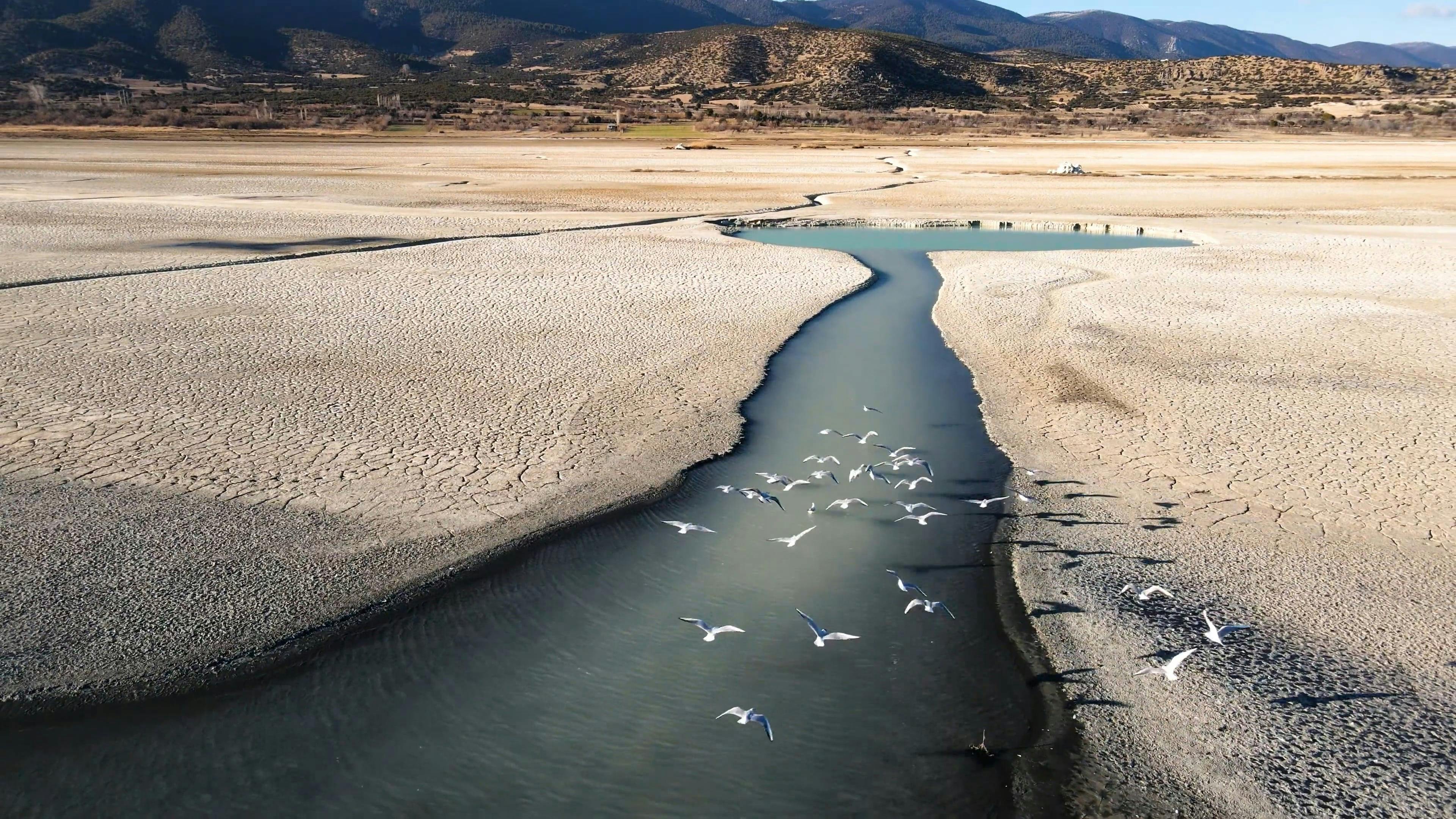 Drought Land Videos, Download The BEST Free 4k Stock Video Footage ...