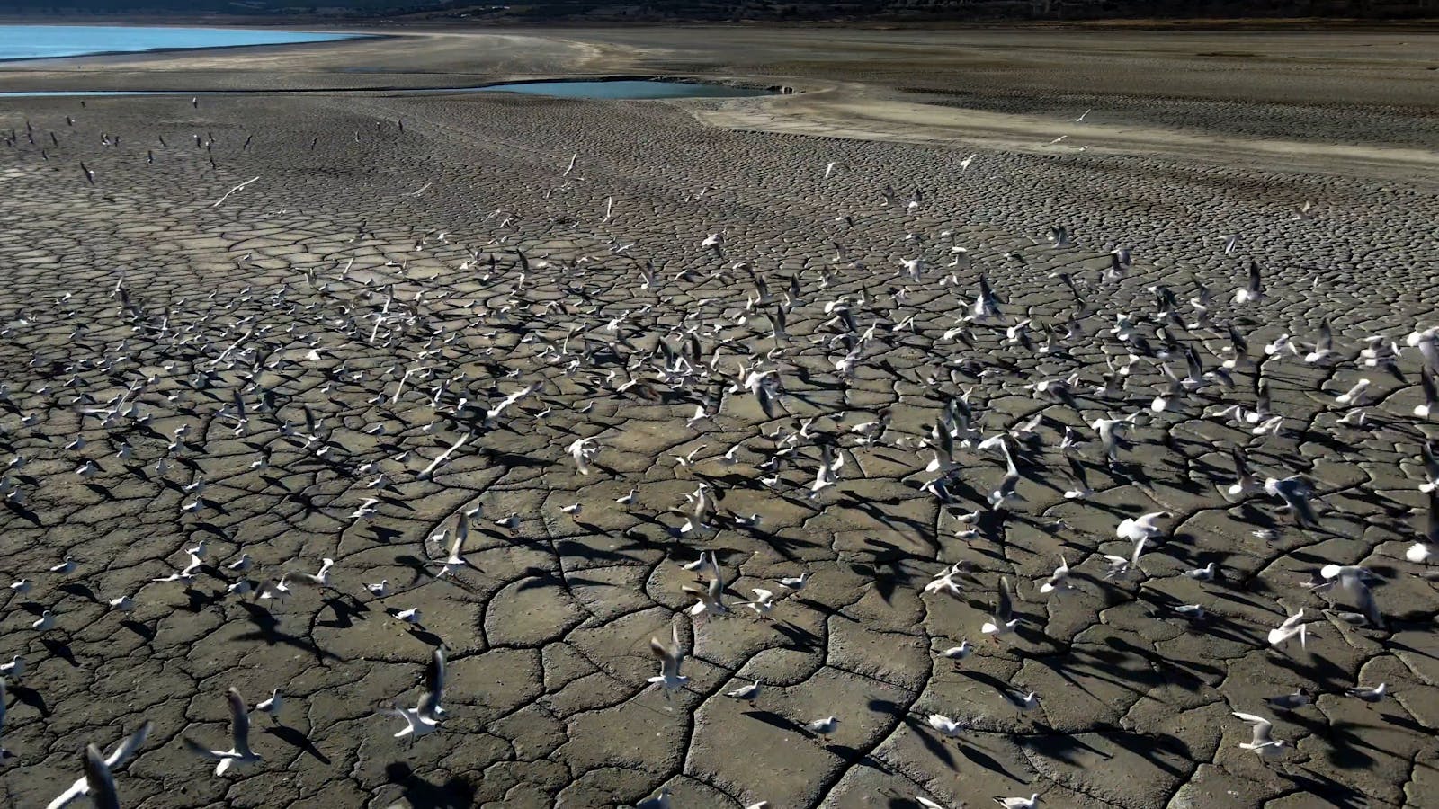 Drought Videos, Download The BEST Free 4k Stock Video Footage & Drought ...