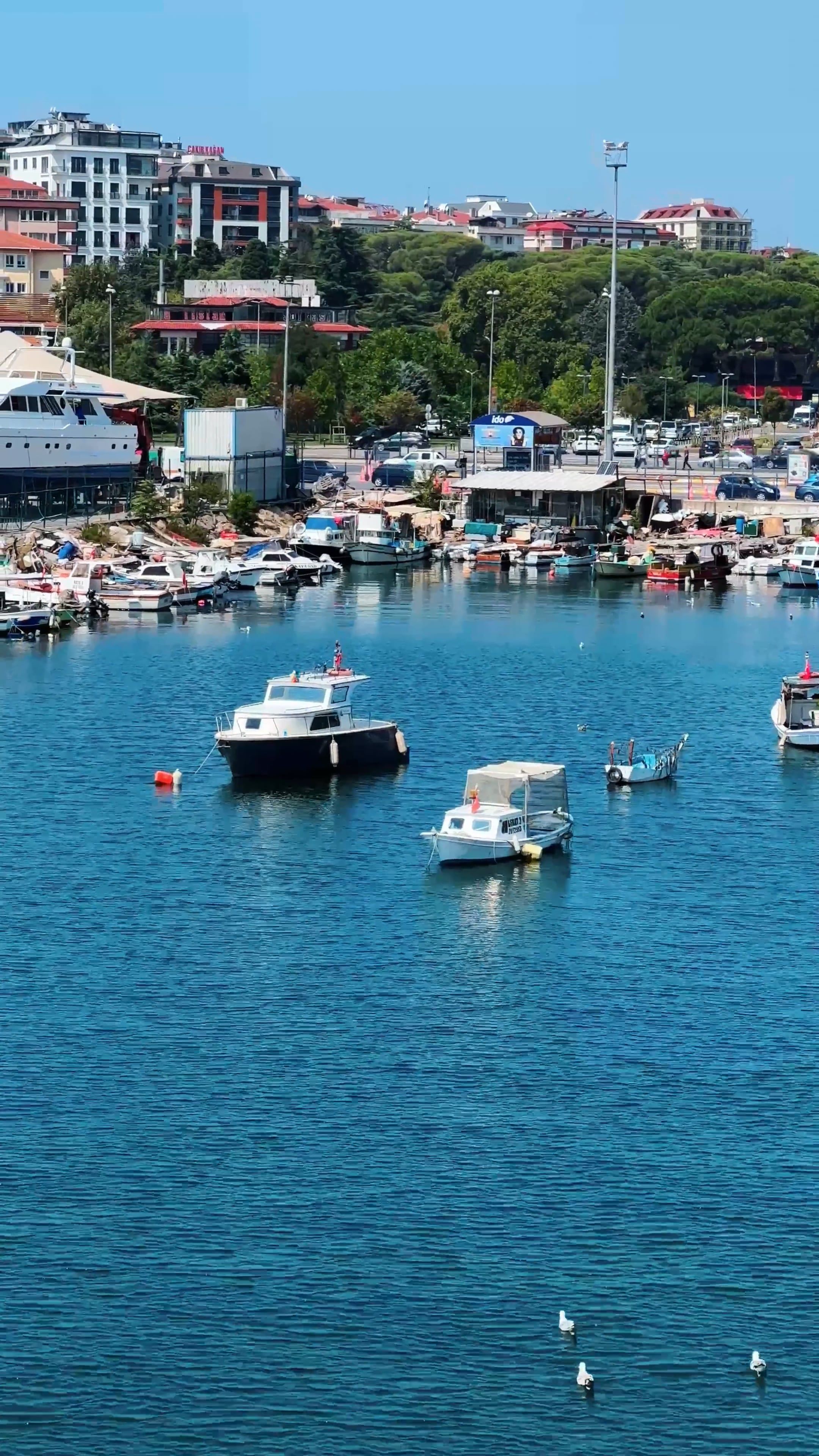 Boats Free Stock Video Footage, Royalty-Free 4K & HD Video Clip