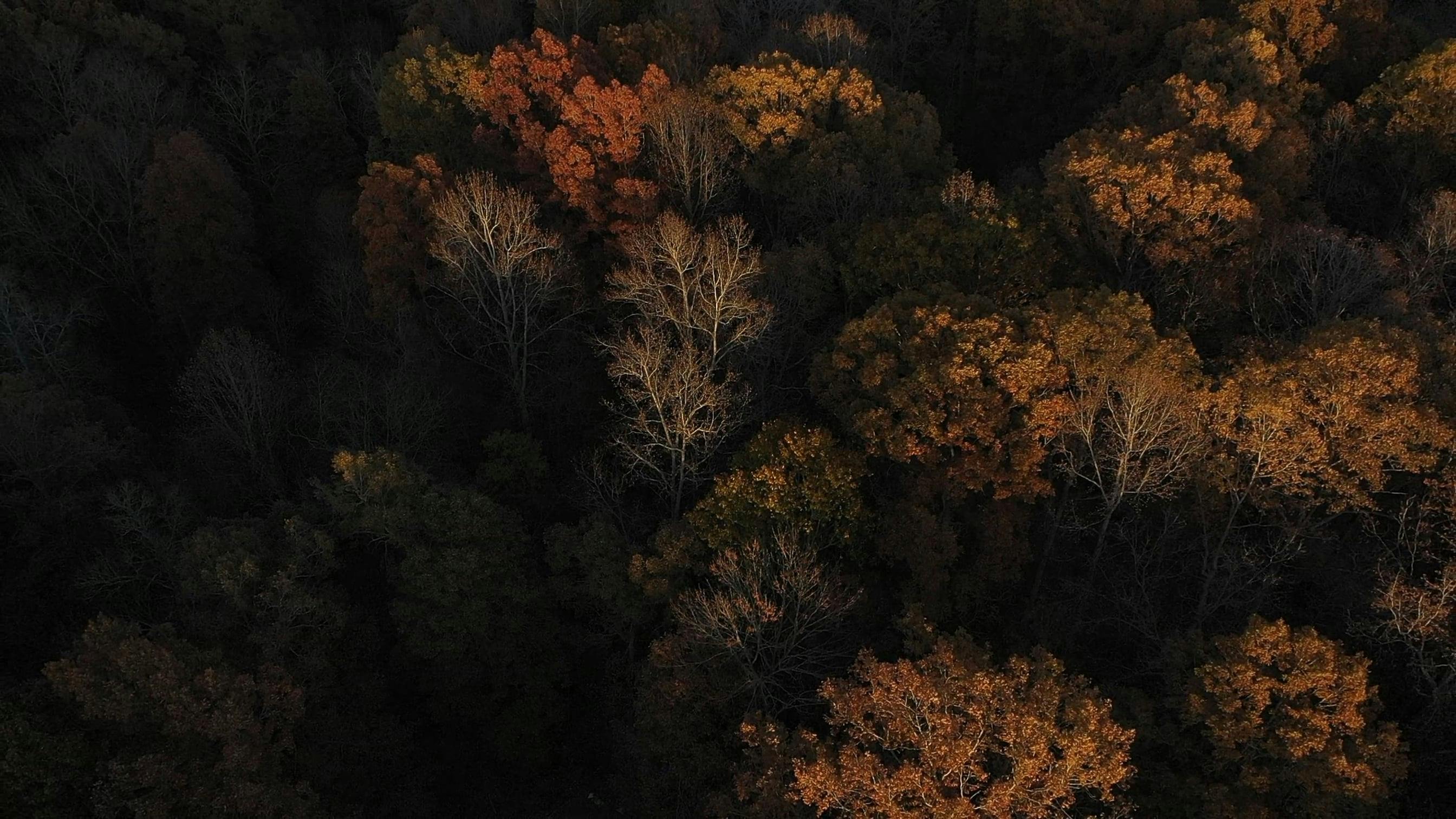 Fall Horizon Free Stock Video Footage, Royalty-Free 4K & HD Video Clip