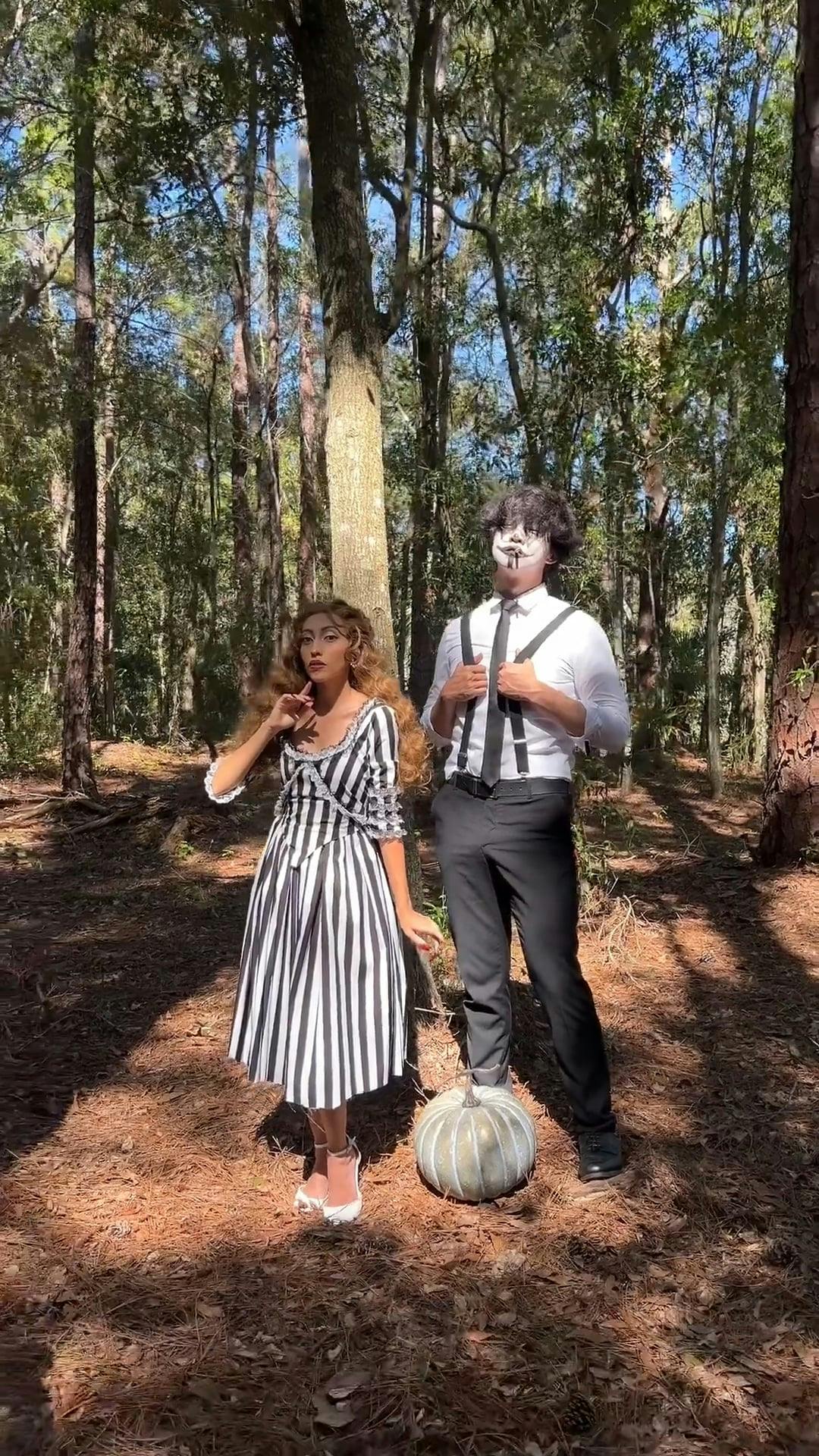 Jester Videos, Download The BEST Free 4k Stock Video Footage & Jester ...