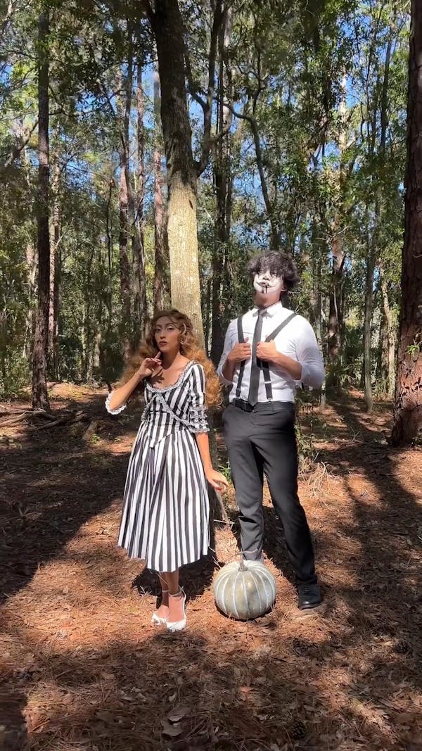 Jester Videos, Download The BEST Free 4k Stock Video Footage & Jester ...