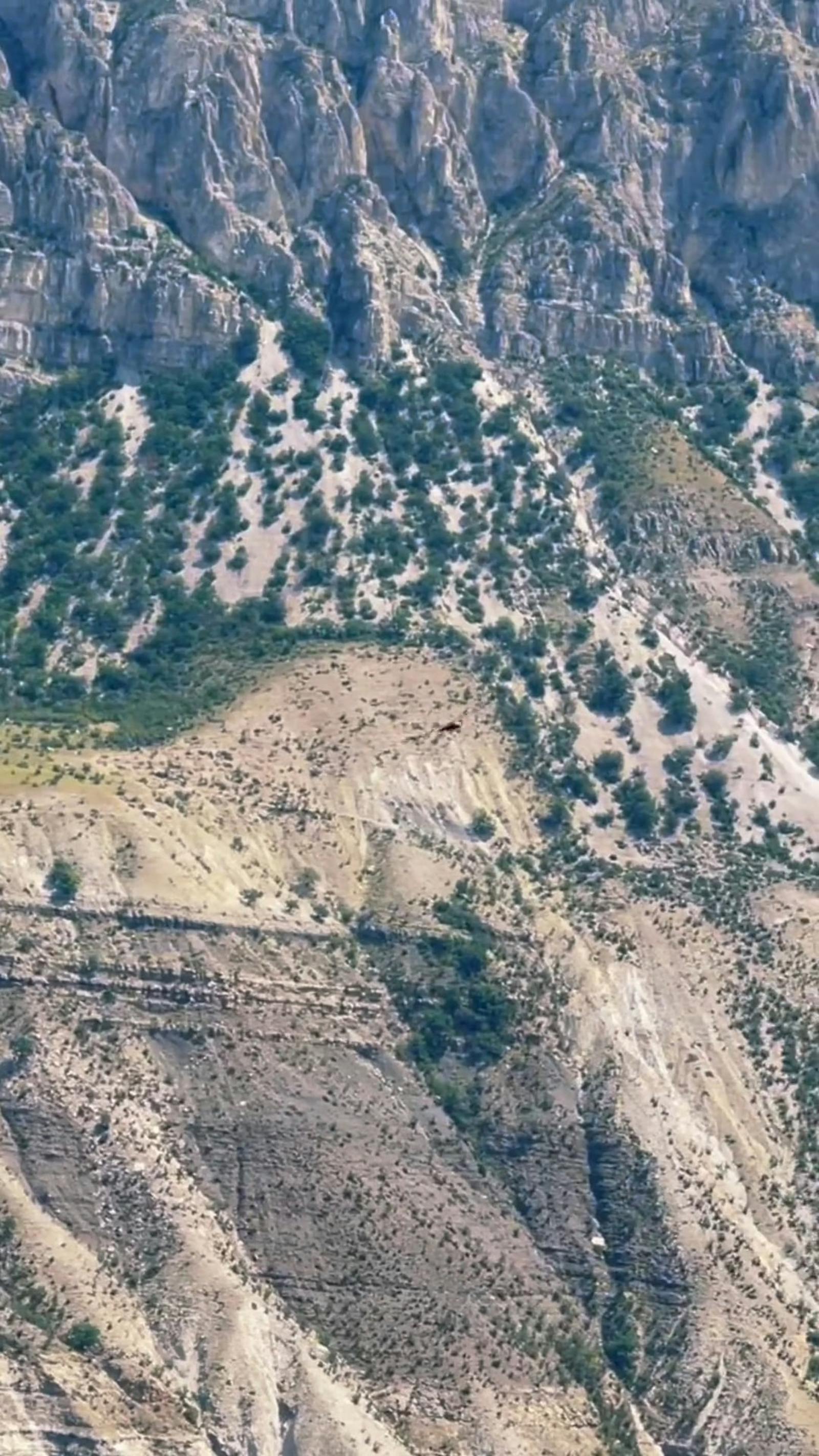 Eagle Flying Videos, Download The BEST Free 4k Stock Video Footage ...