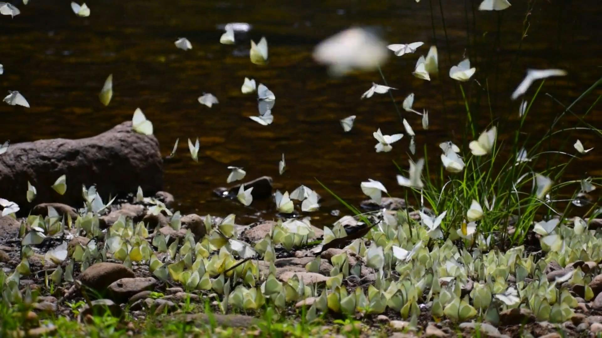 最高のJulia+timpf関連動画 · 100%無料でダウンロード · Pexelのストック動画